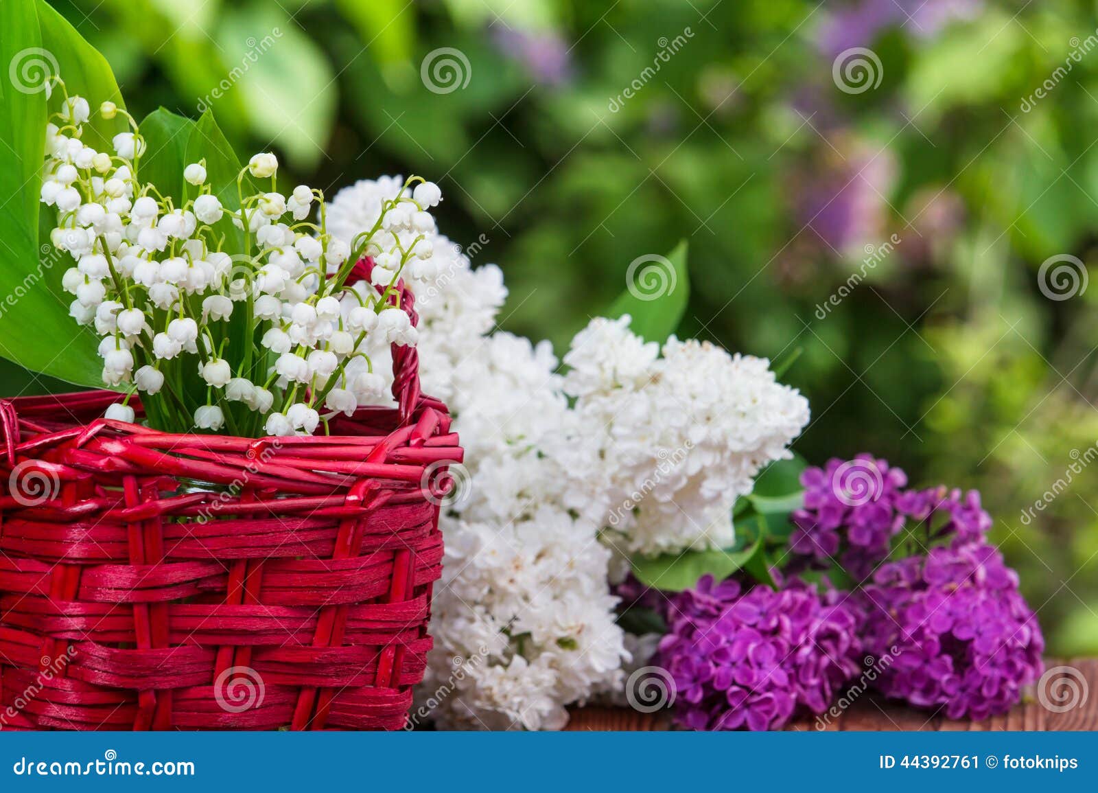 Le muguet et lilas image stock. Image du centrale, fleurs - 44392761