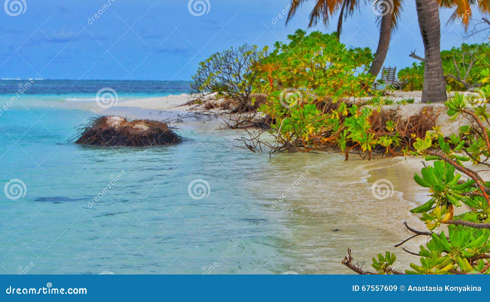 Le nid des storc image stock. Image du centrales, emboîtement - 67557609