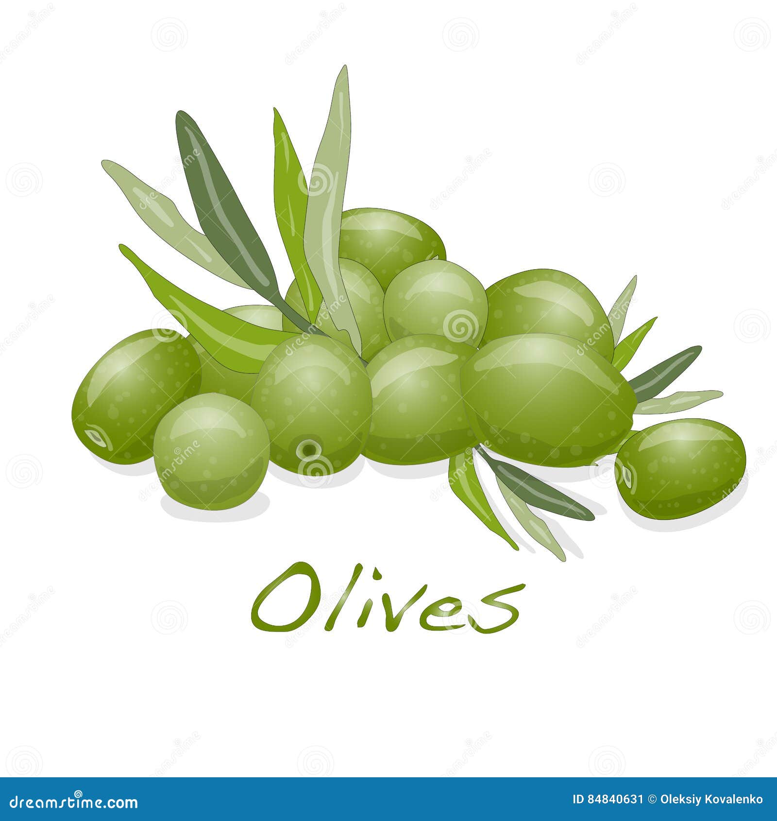 Le olive vector isolato illustrazione vettoriale. Illustrazione di sano ...
