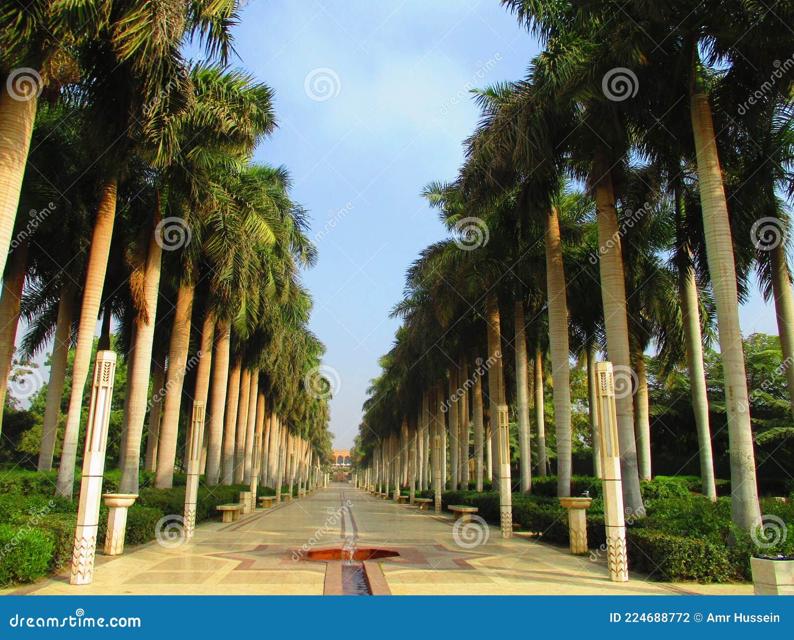 Le parc al azhar photo stock. Image du vert, paume, stationnement ...