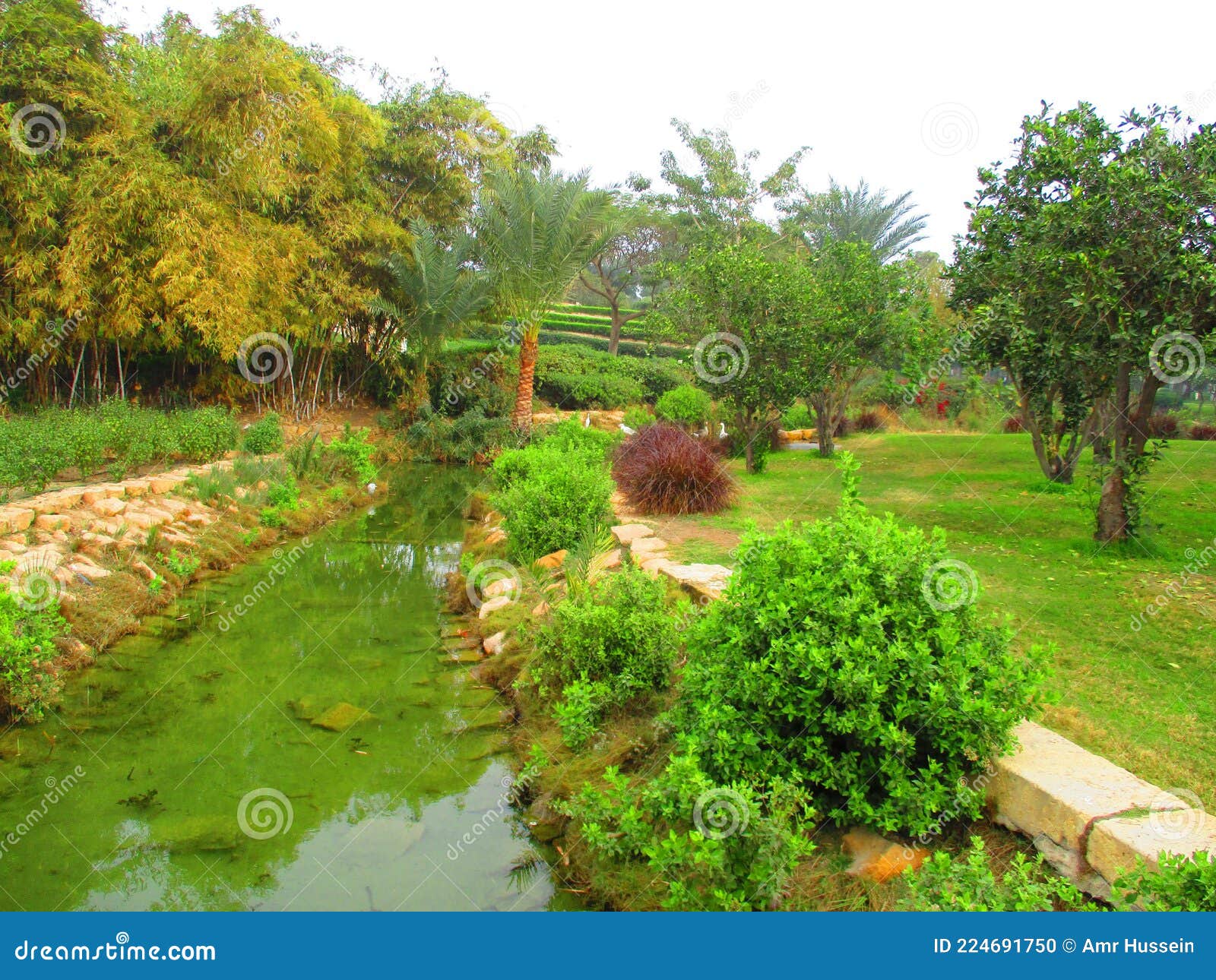 Le parc al azhar photo stock. Image du watercourse, fleuve - 224691750