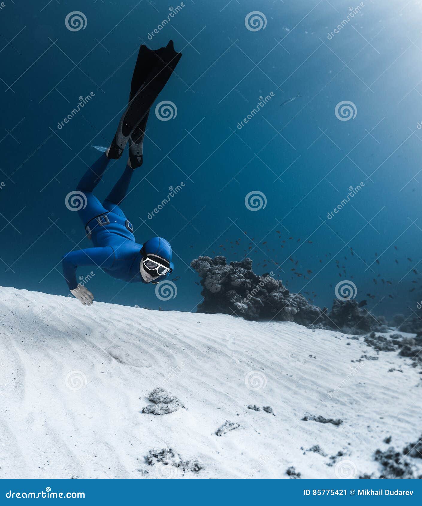 Le Plongeur Libre Explore Le Fond Marin Image stock - Image du loisirs ...