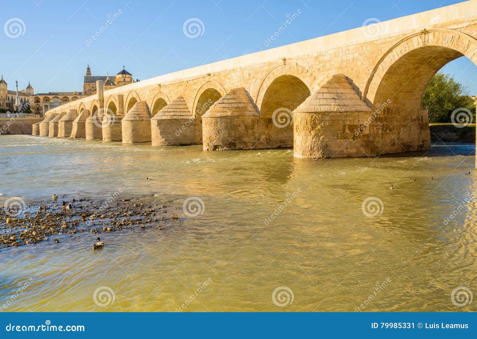 Le Pont Romain, Cordova, Andalousie, Espagne Image stock - Image du ...