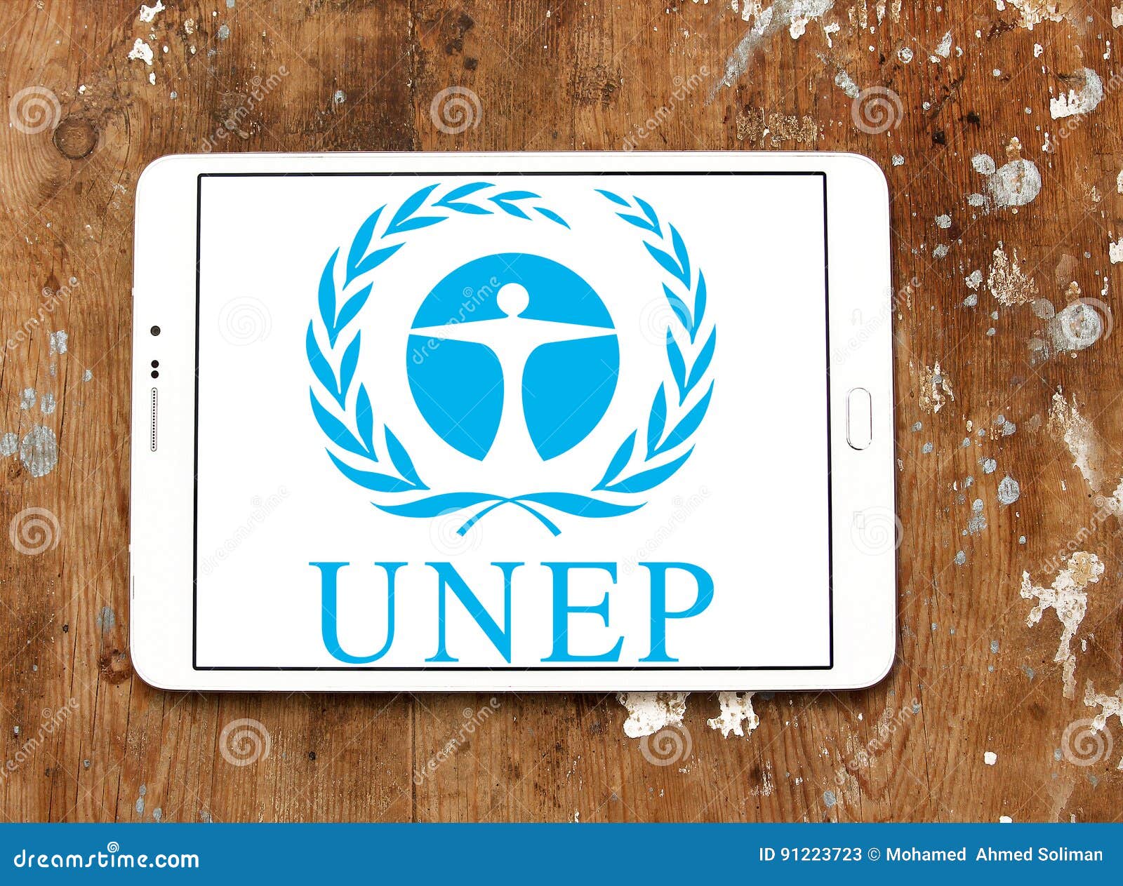 Le Programme D'environnement Des Nations Unies, Logo De PNUE Photo ...