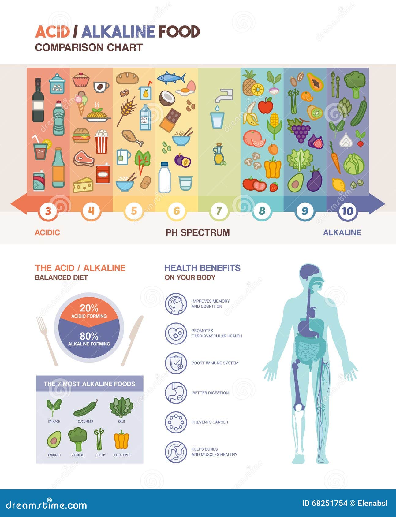 Le régime alcalin acide illustration de vecteur. Illustration du cancer ...