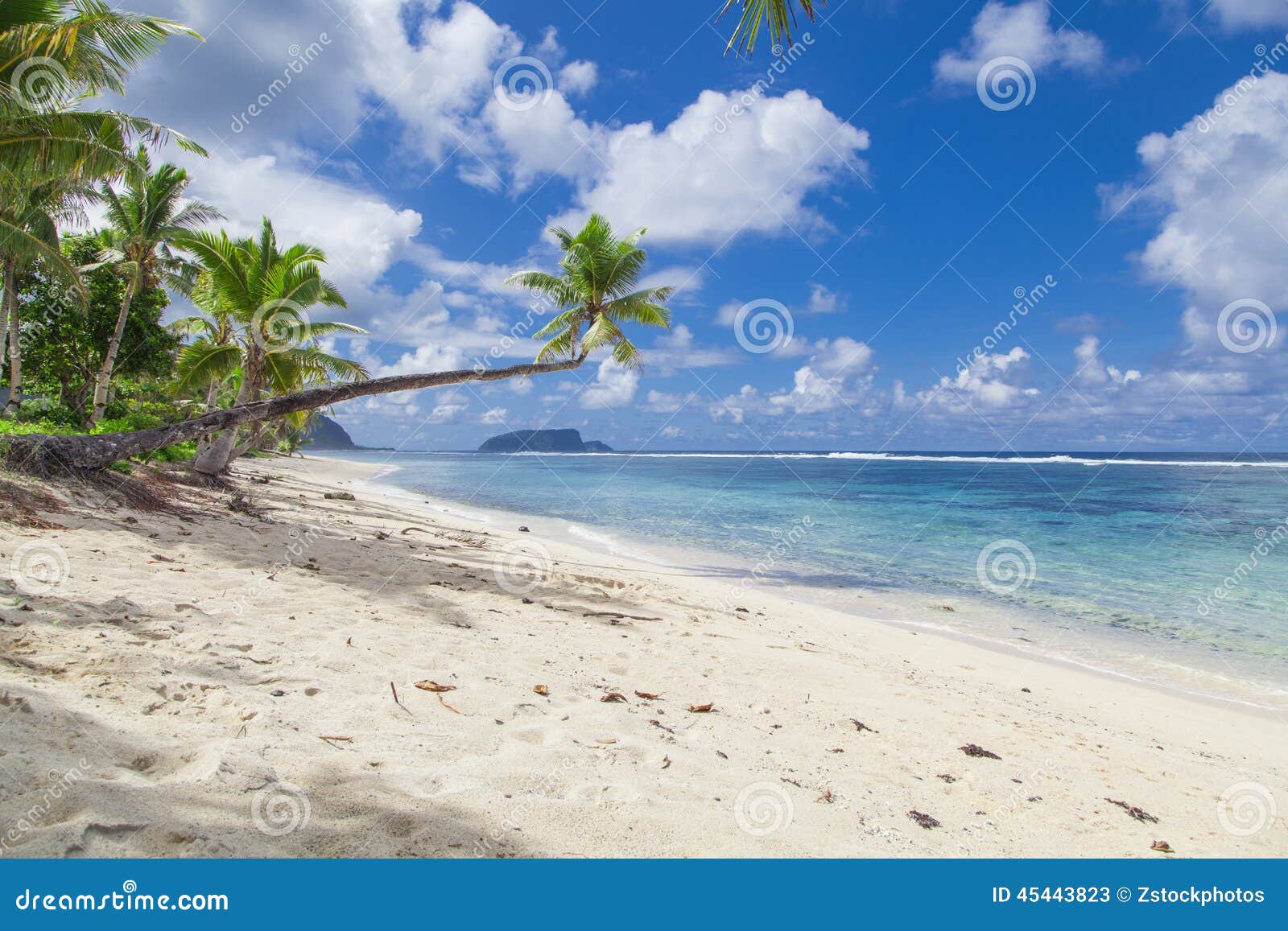 Le Samoa tropical image stock. Image du horizontal, scène - 45443823