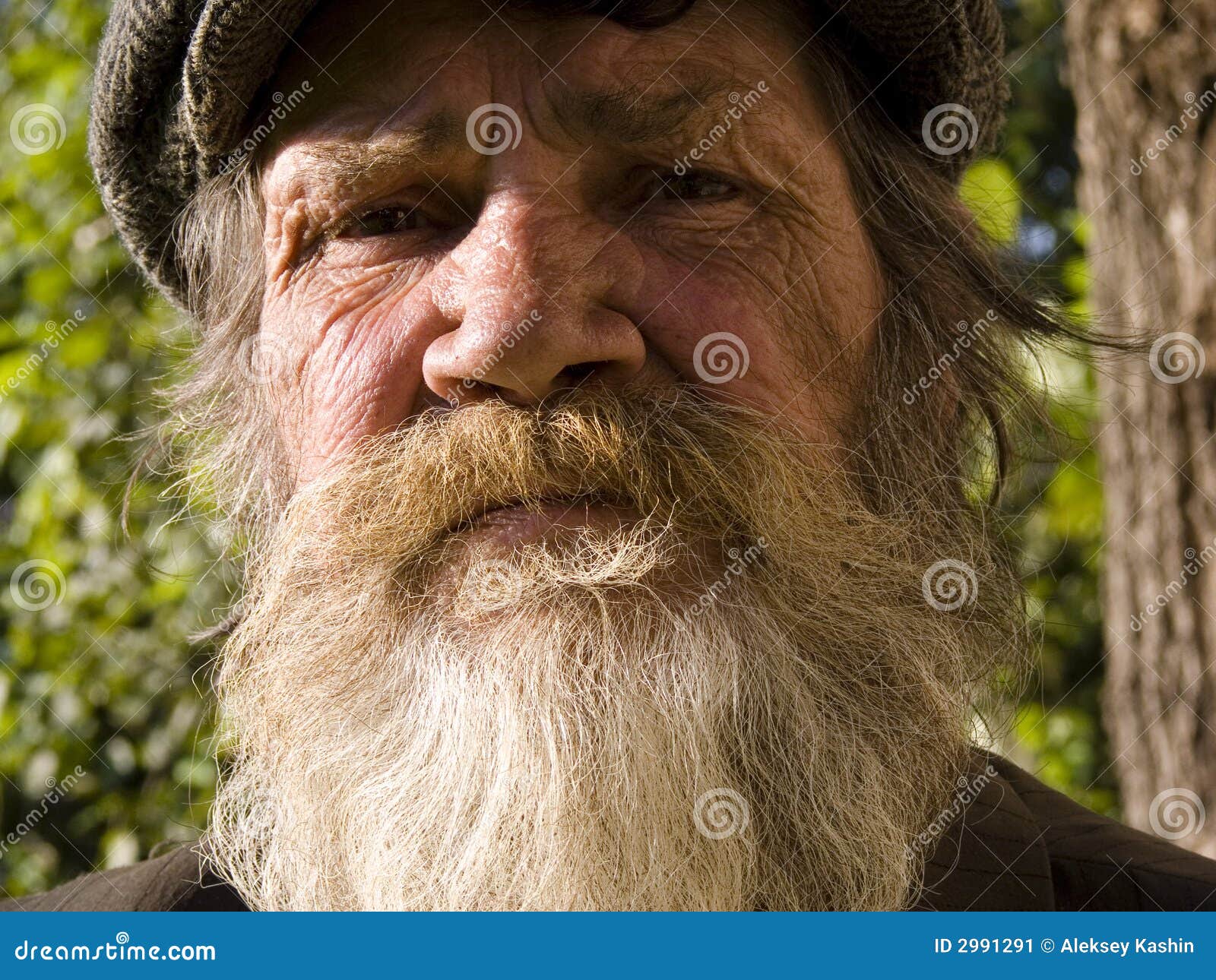 Le vieil homme barbu image stock. Image du pauvreté, père - 2991291