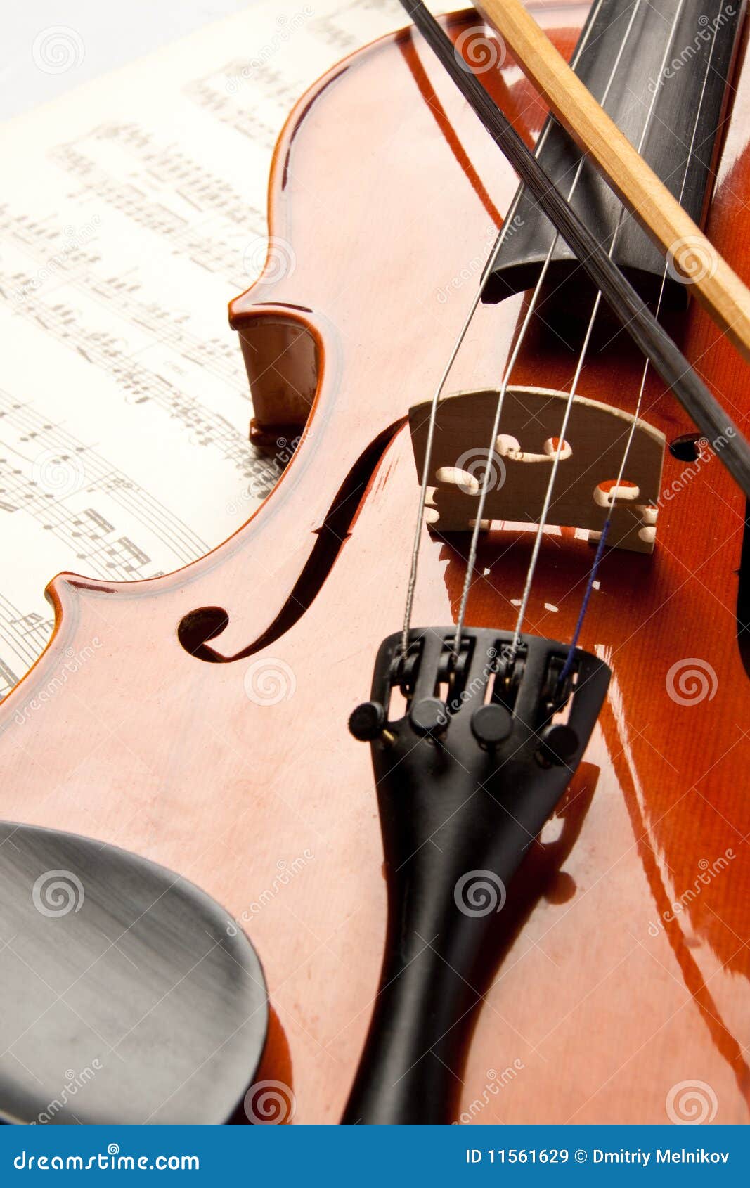 Le violon et s'est levé image stock. Image du papier - 11561629