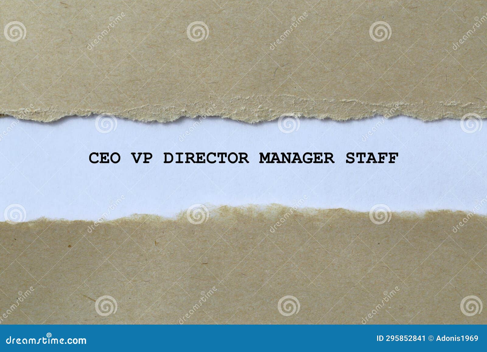 Ceo Vp Director Manager Staff on White Paper Stock Image - Image of ...