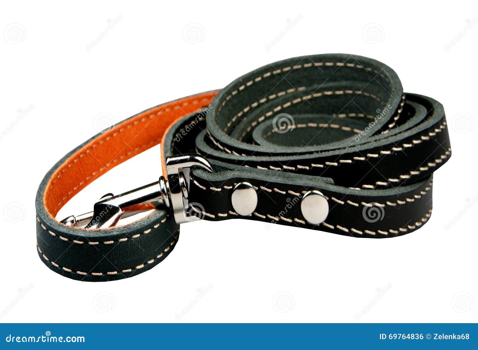 Lead for a Dog on a White Background Stock Photo - Image of lead ...