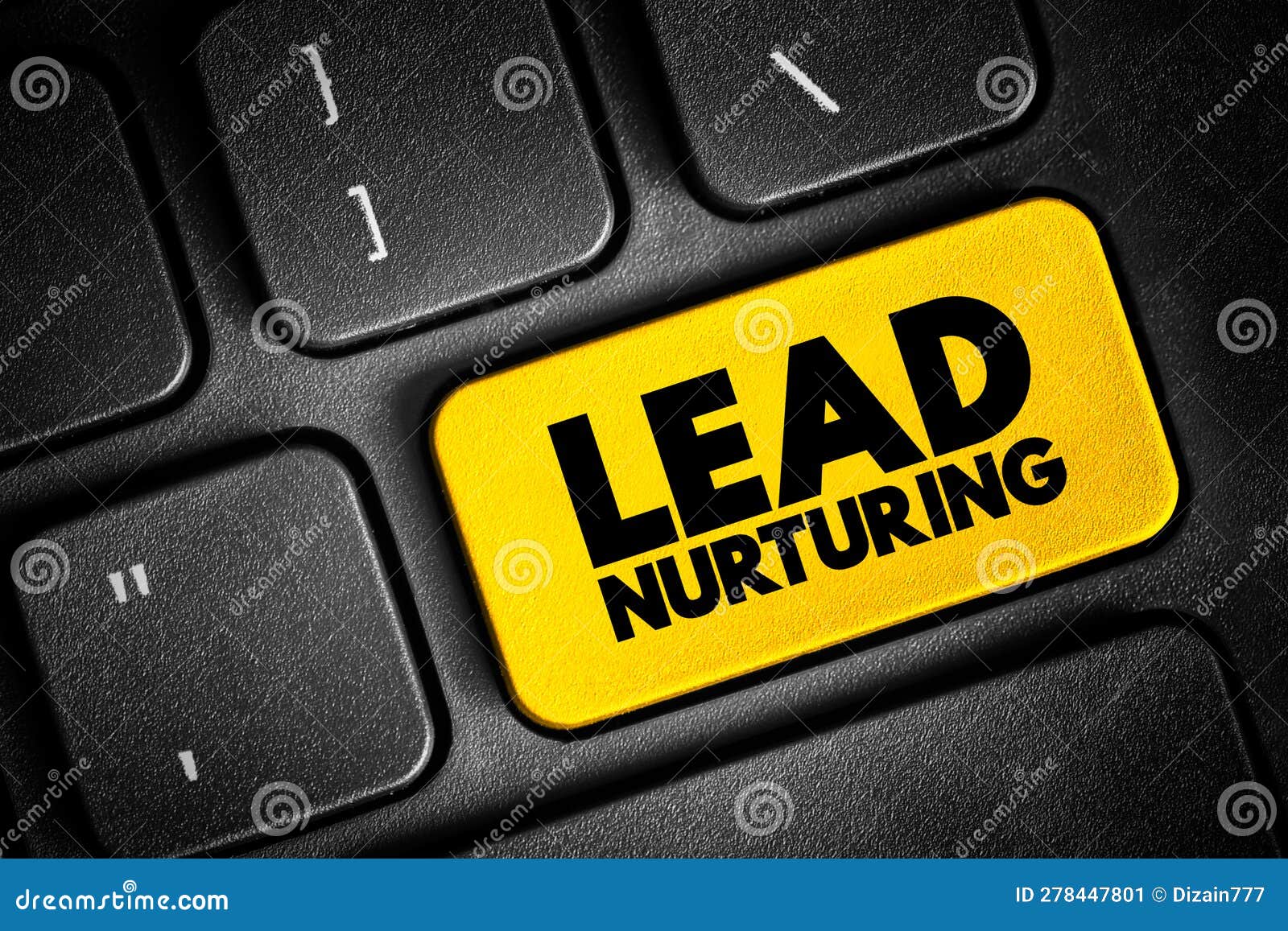 Lead Nurturing - Process of Developing and Reinforcing Relationships ...