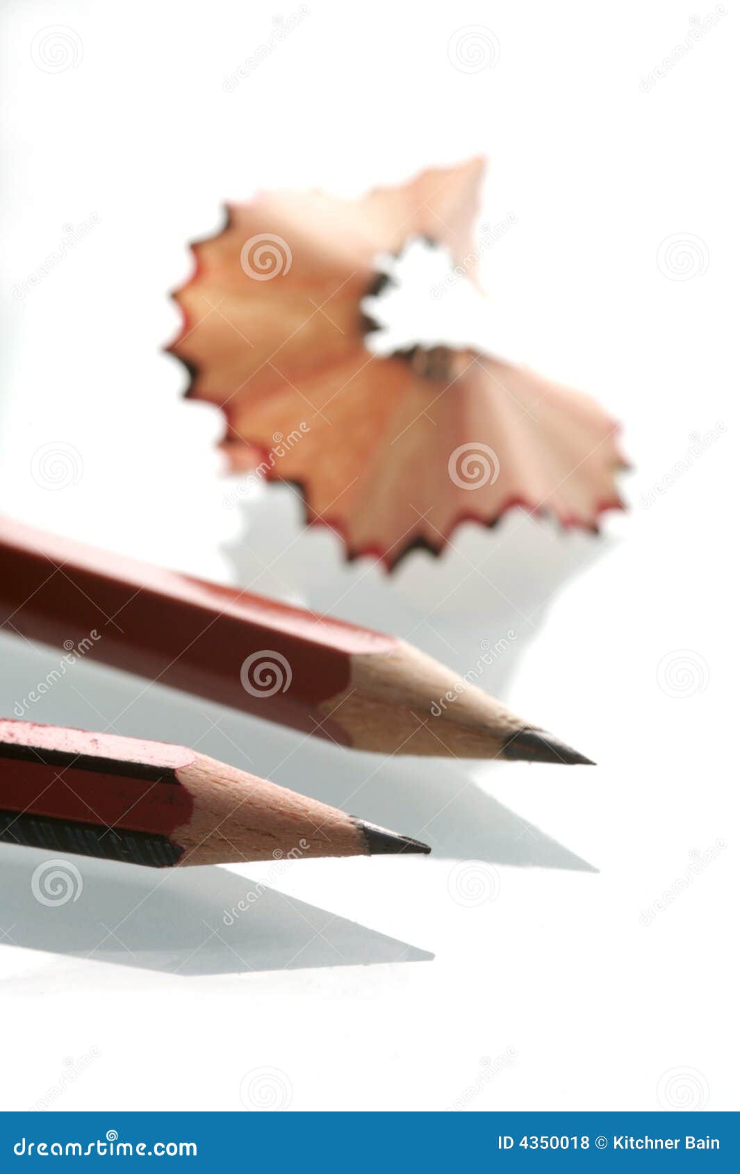 Lead Pencil stock photo. Image of lead, filings, sharpening - 4350018