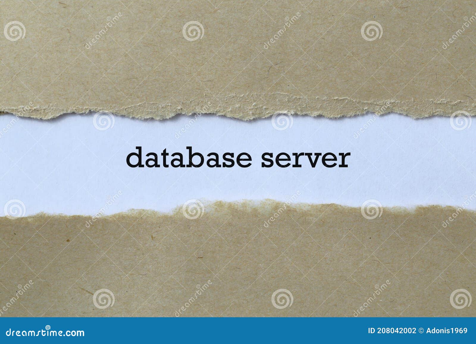 Database server on paper stock photo. Image of development - 208042002