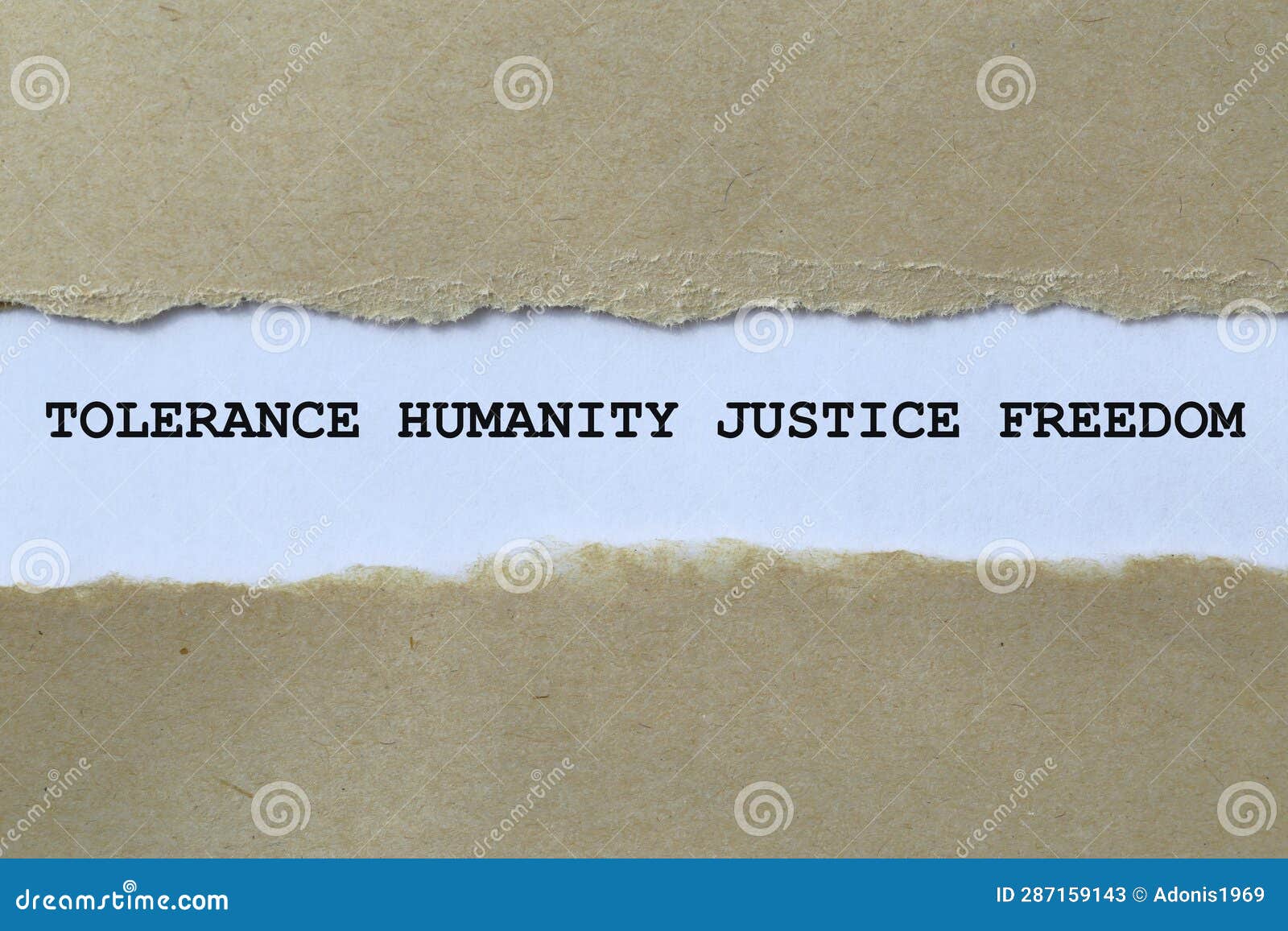 Tolerance Humanity Justice Freedom on White Paper Stock Image - Image ...