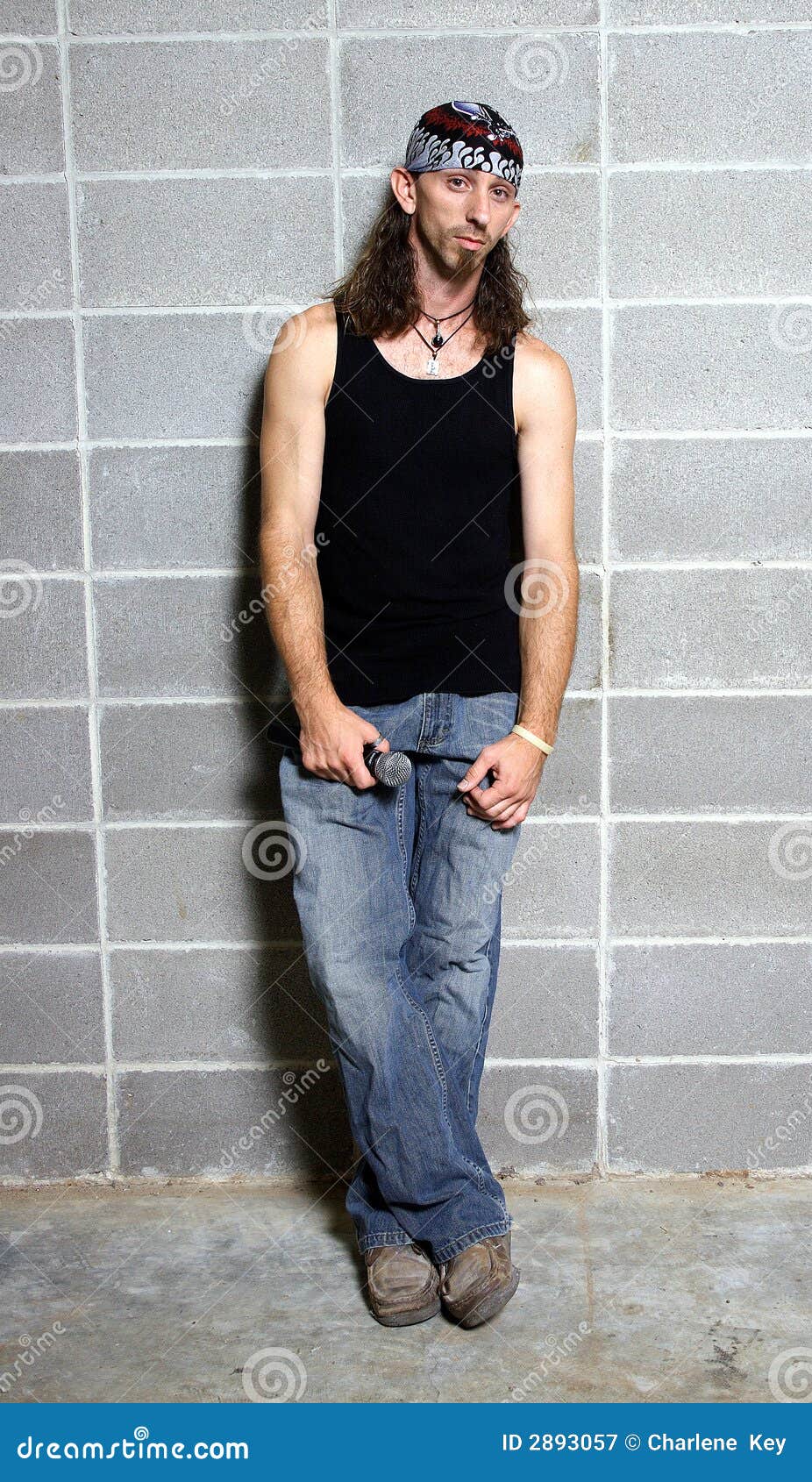 The Lead Singer stock image. Image of singer, band, roll - 2893057