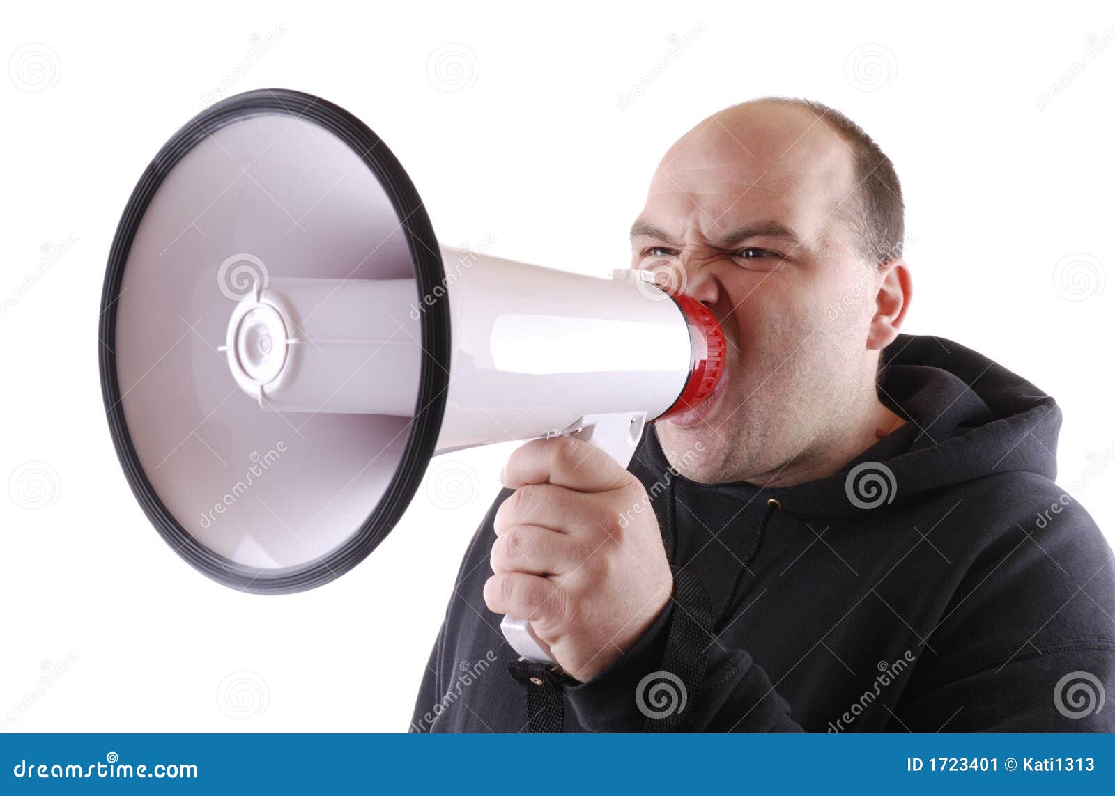 Leader stock image. Image of independence, leadership - 1723401