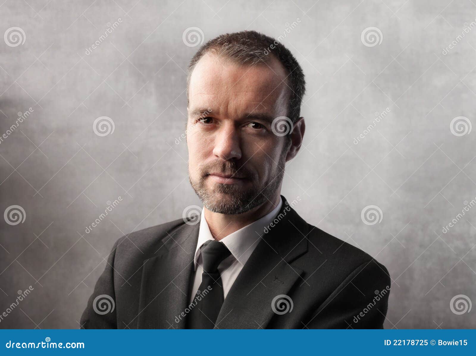 Leader stock image. Image of caucasian, indoor, portrait - 22178725