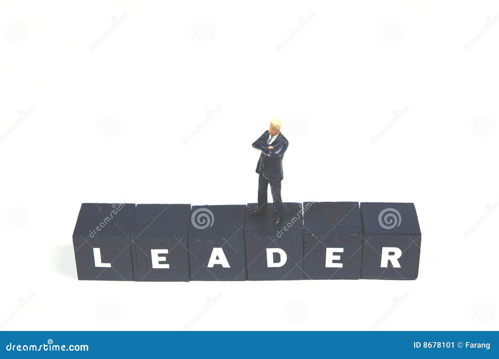 Leader stock image. Image of manager, leader, leadership - 8678101