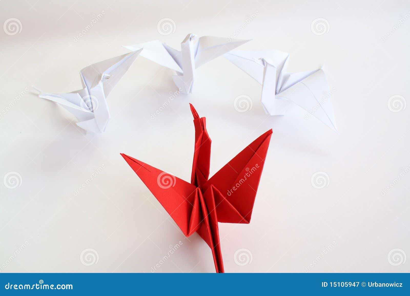 The Leader Bird and the Inferiors Stock Image - Image of leader ...