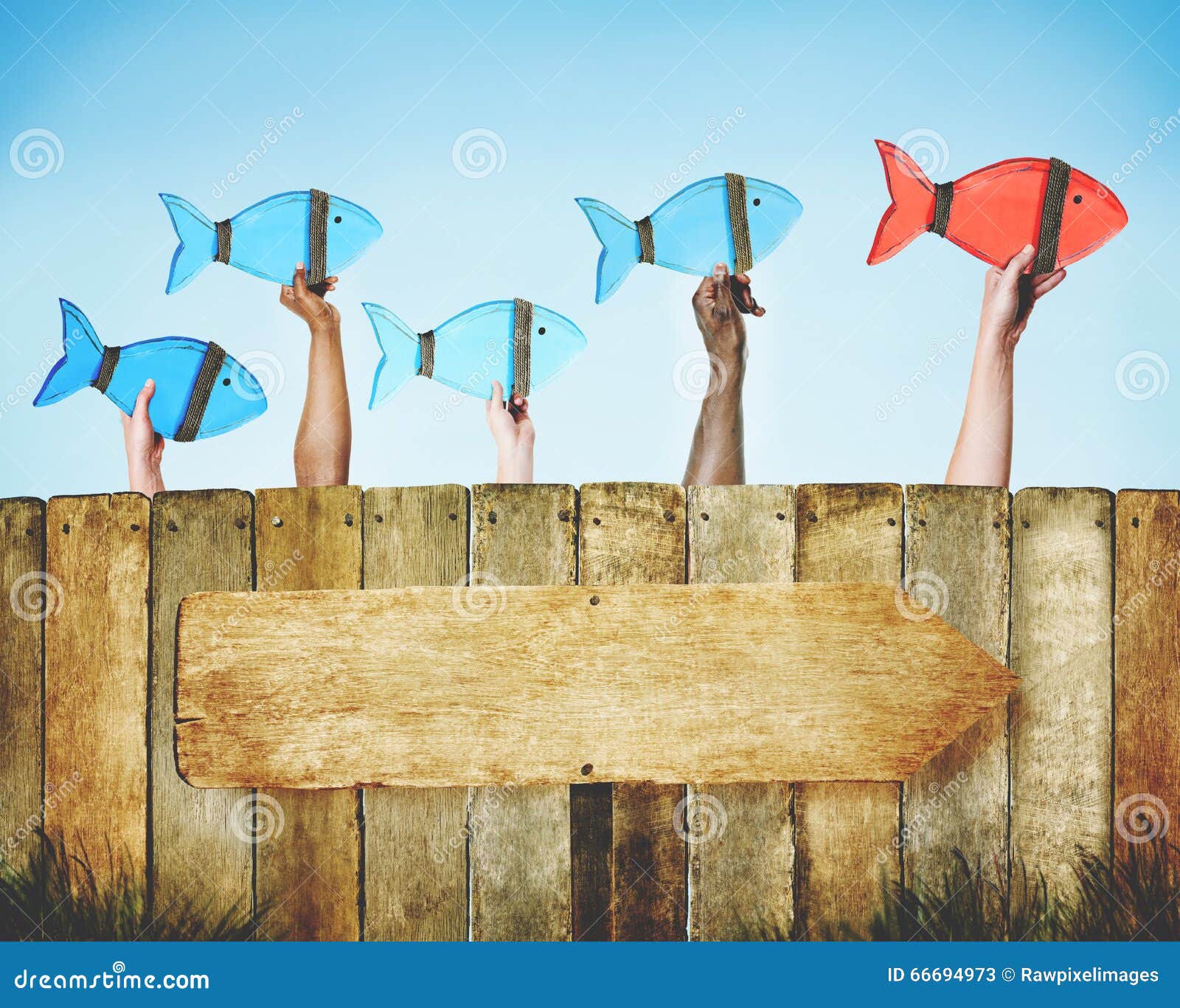Leader Fish Team Following Togetherness Forward Concept Stock Image ...