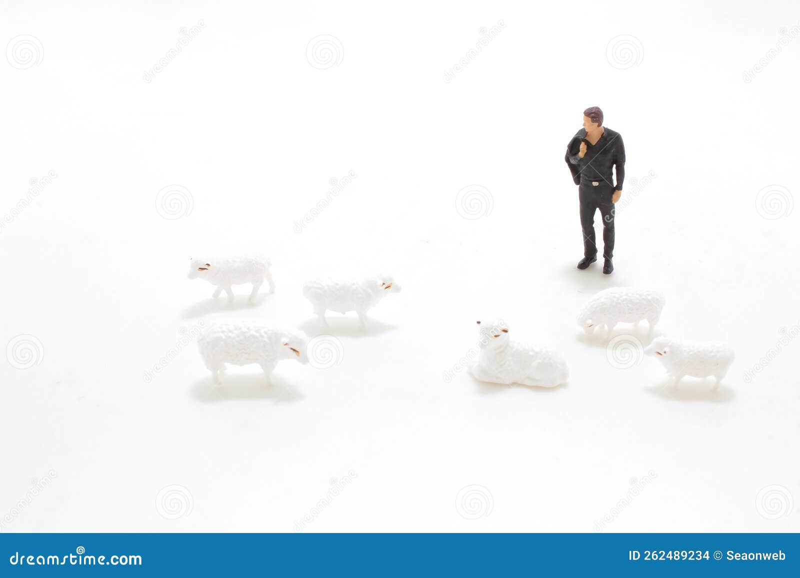 A Leader of Sheep. the Business Concept Stock Photo - Image of business ...