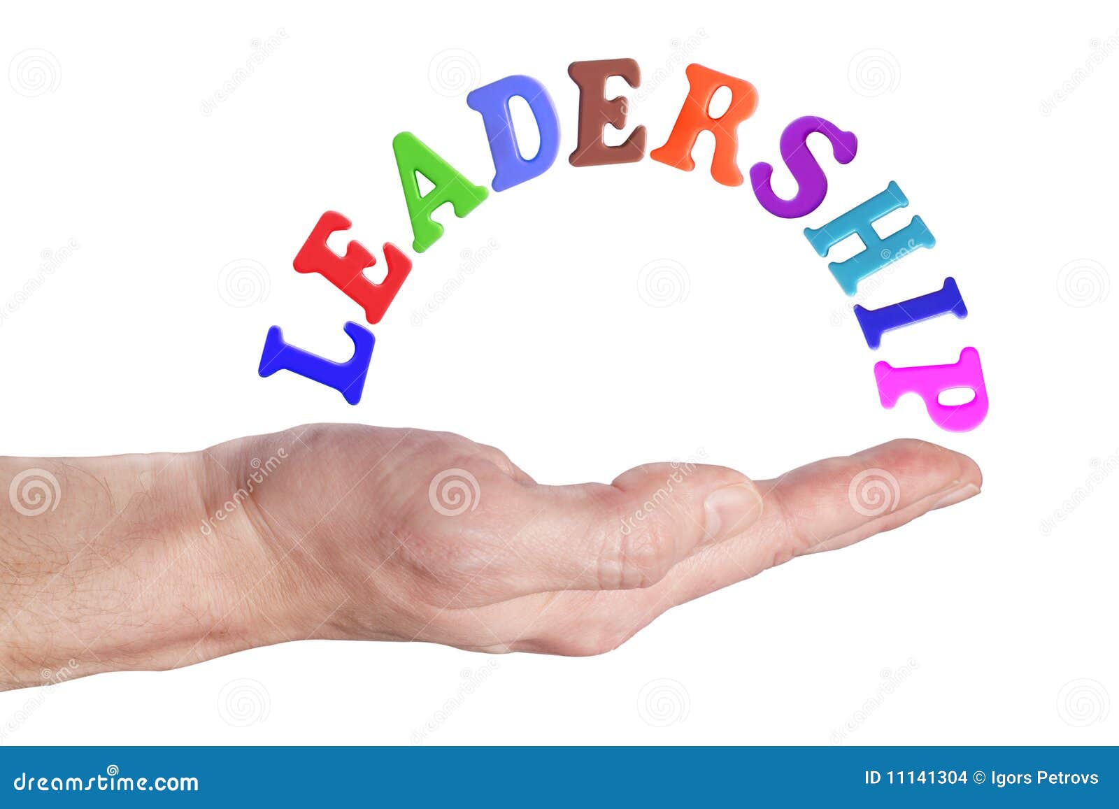 Leadership stock photo. Image of prospects, manager, follow - 11141304