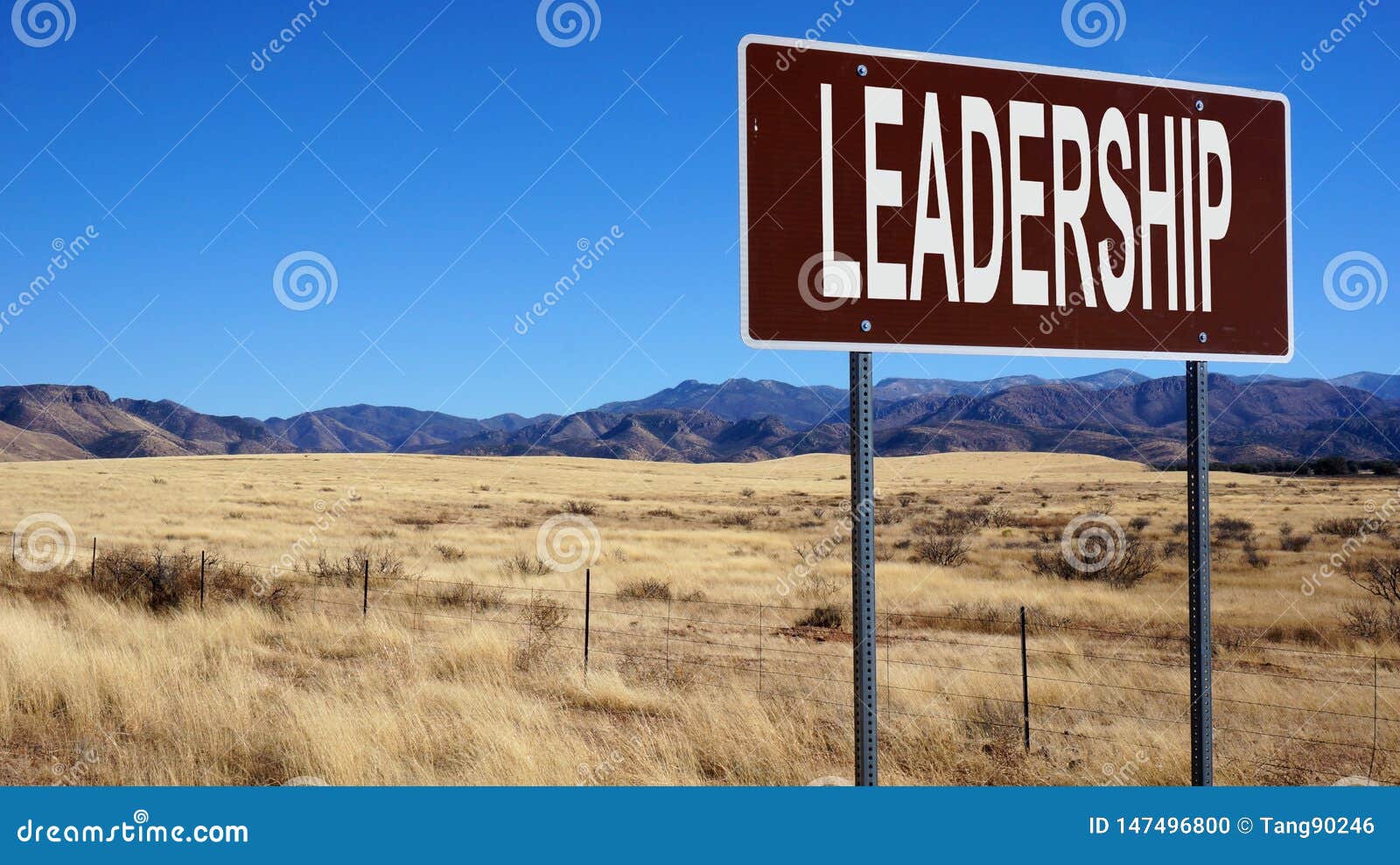 Leadership brown road sign stock photo. Image of guide - 147496800