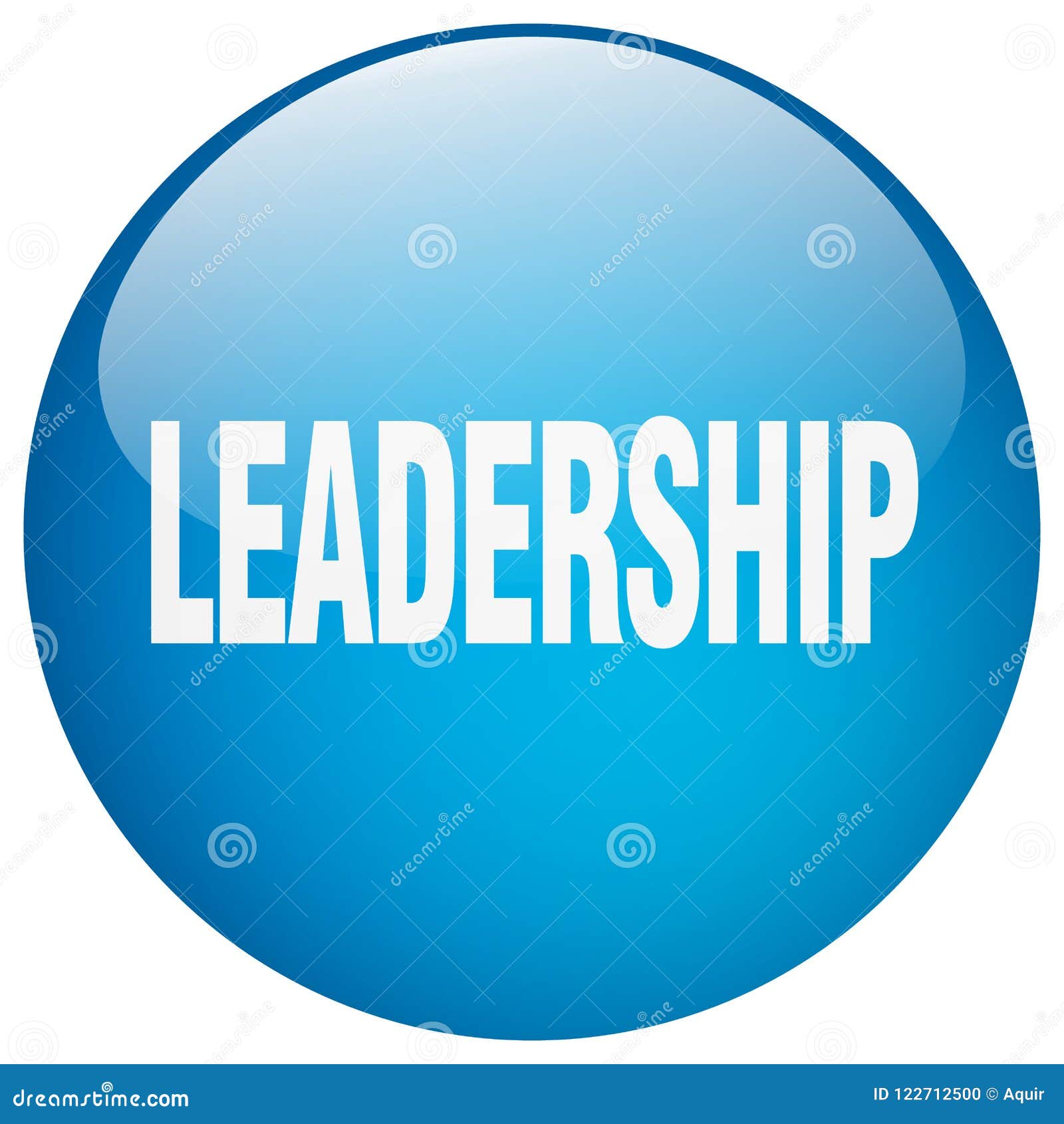 Leadership button stock vector. Illustration of blue - 122712500