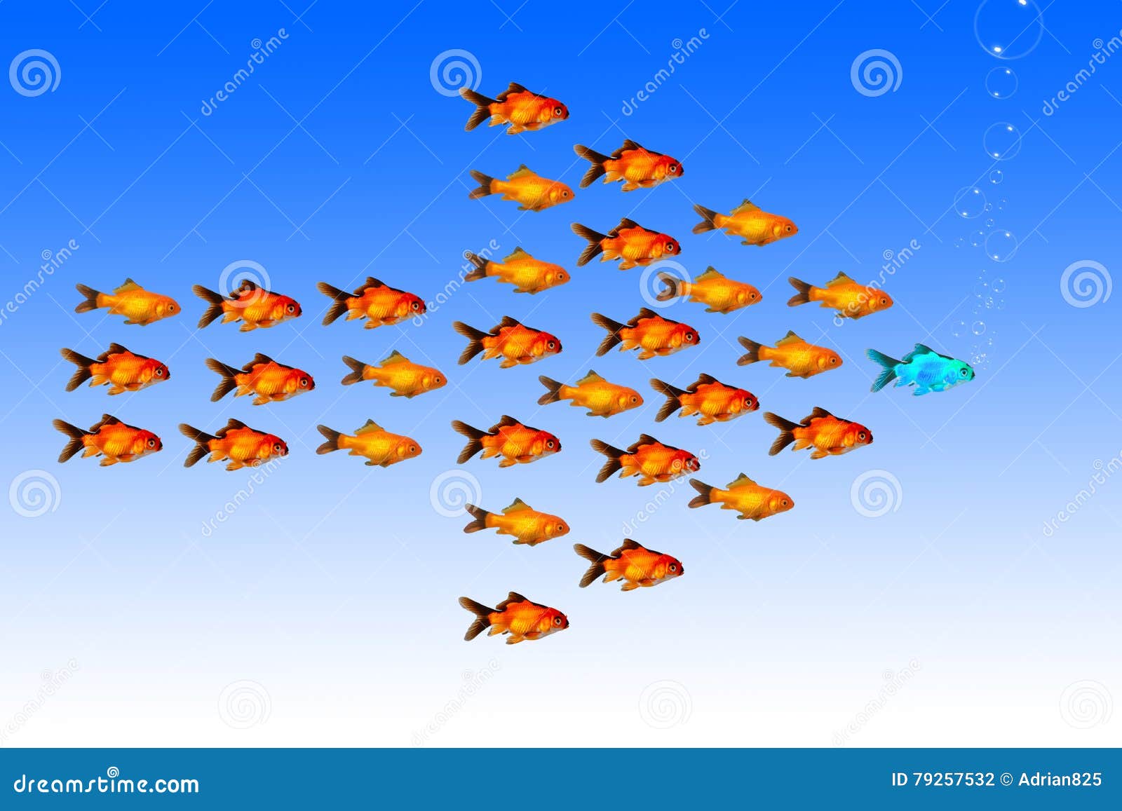 Leadership Concept with Group of Golden Fish Follow the Same Direction ...
