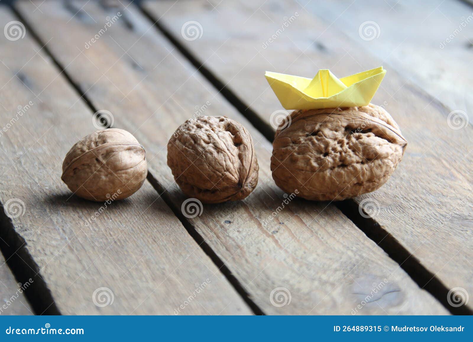 Leadership Concept. Nuts and a Paper Boat Stock Image - Image of food ...