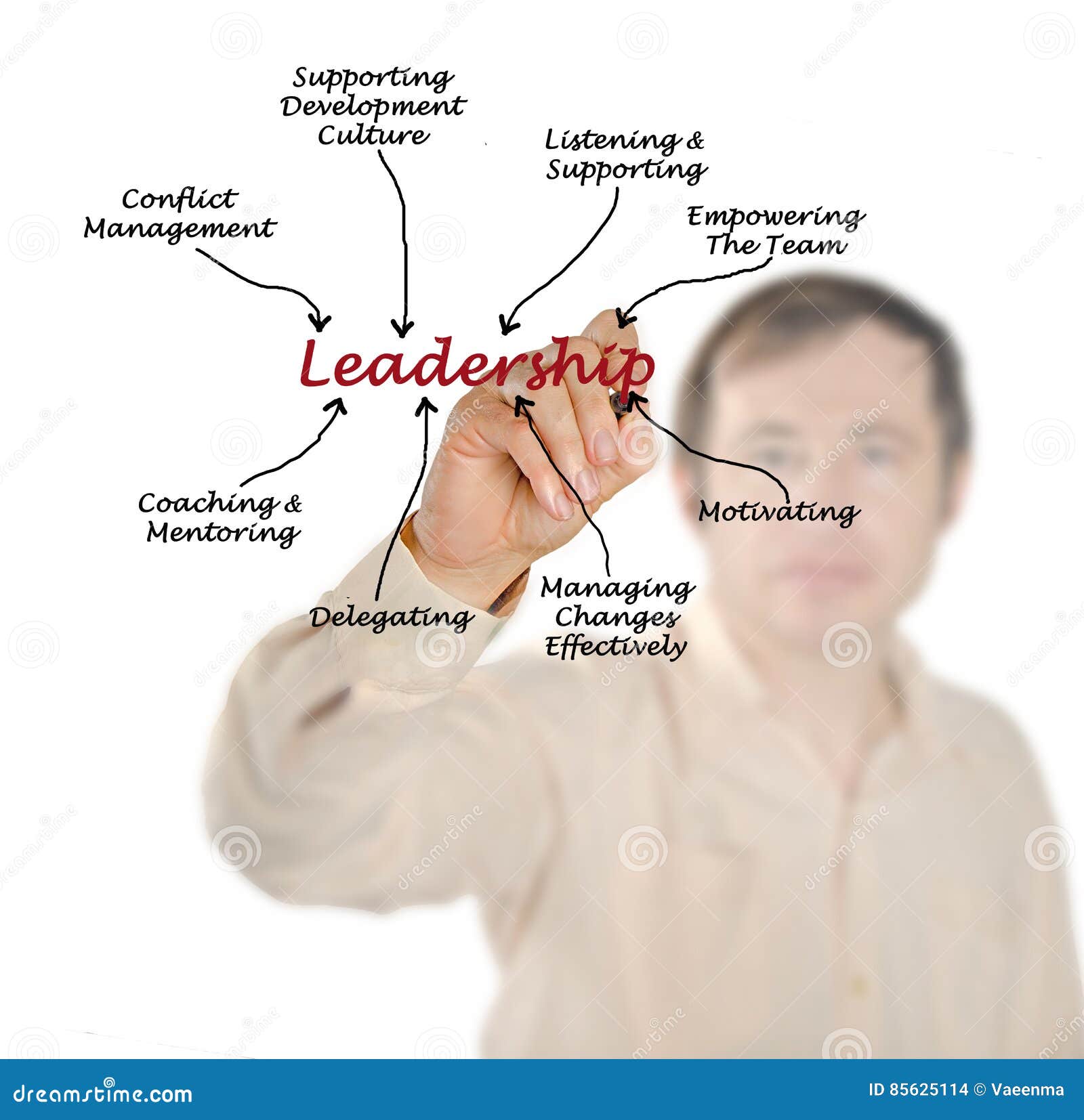Leadership diagram stock photo. Image of mentoring, leadership - 85625114