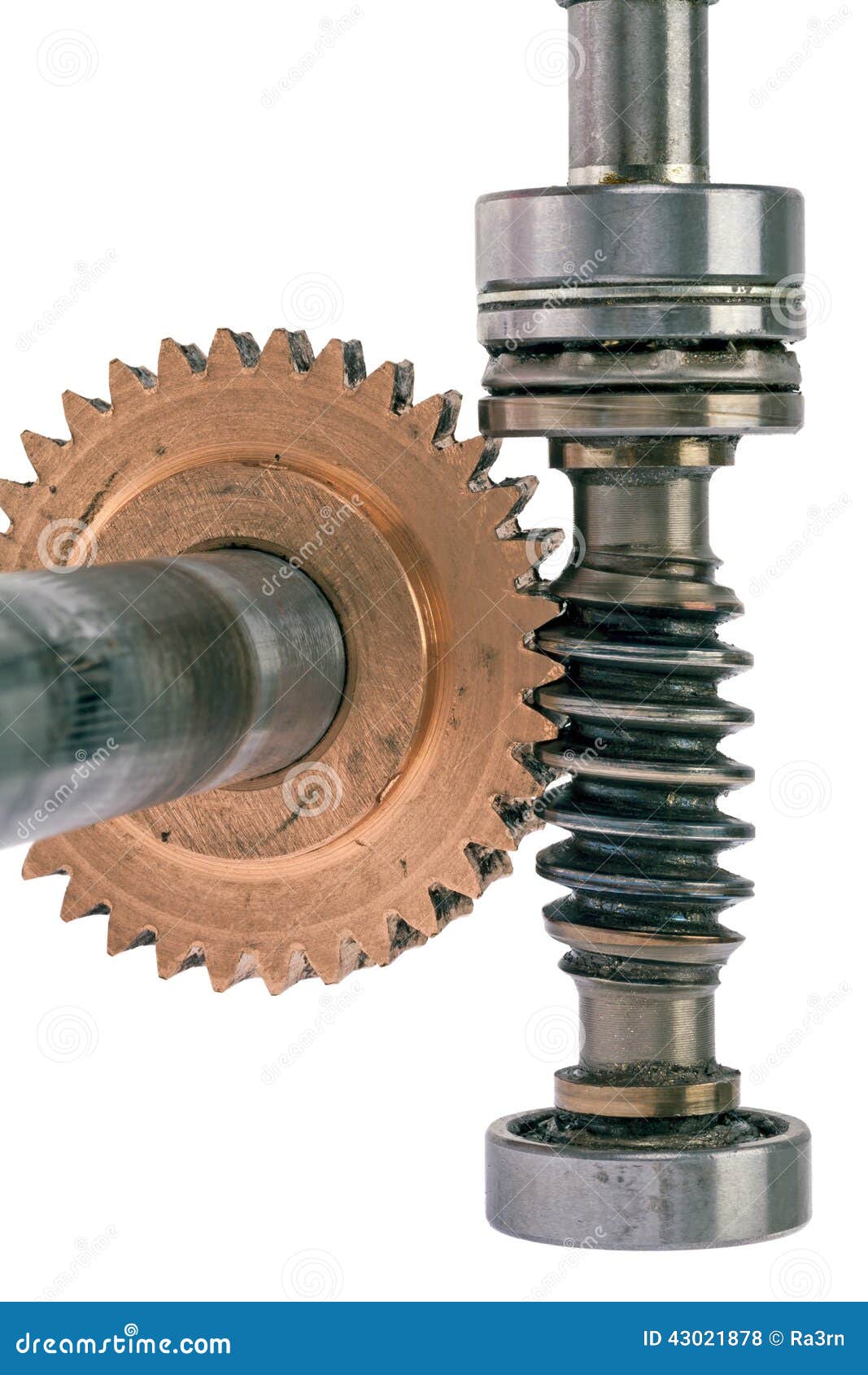 Leading Gear Wheel of Conic Type Stock Photo - Image of brass, level ...