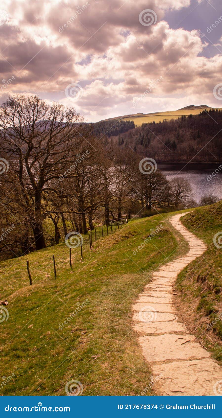 Leading pathway stock photo. Image of reservoir, pathway - 217678374
