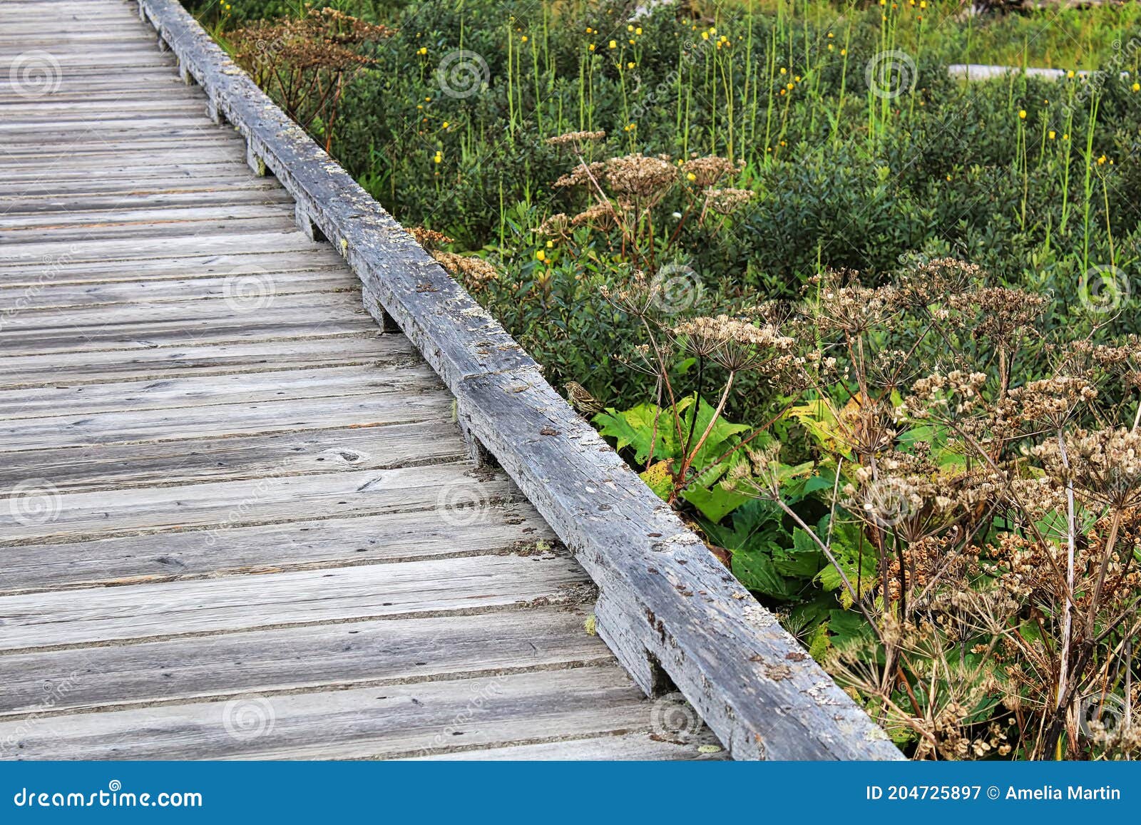 A Leading View of a Grey Old Boardwalk Stock Image - Image of sidewalk ...