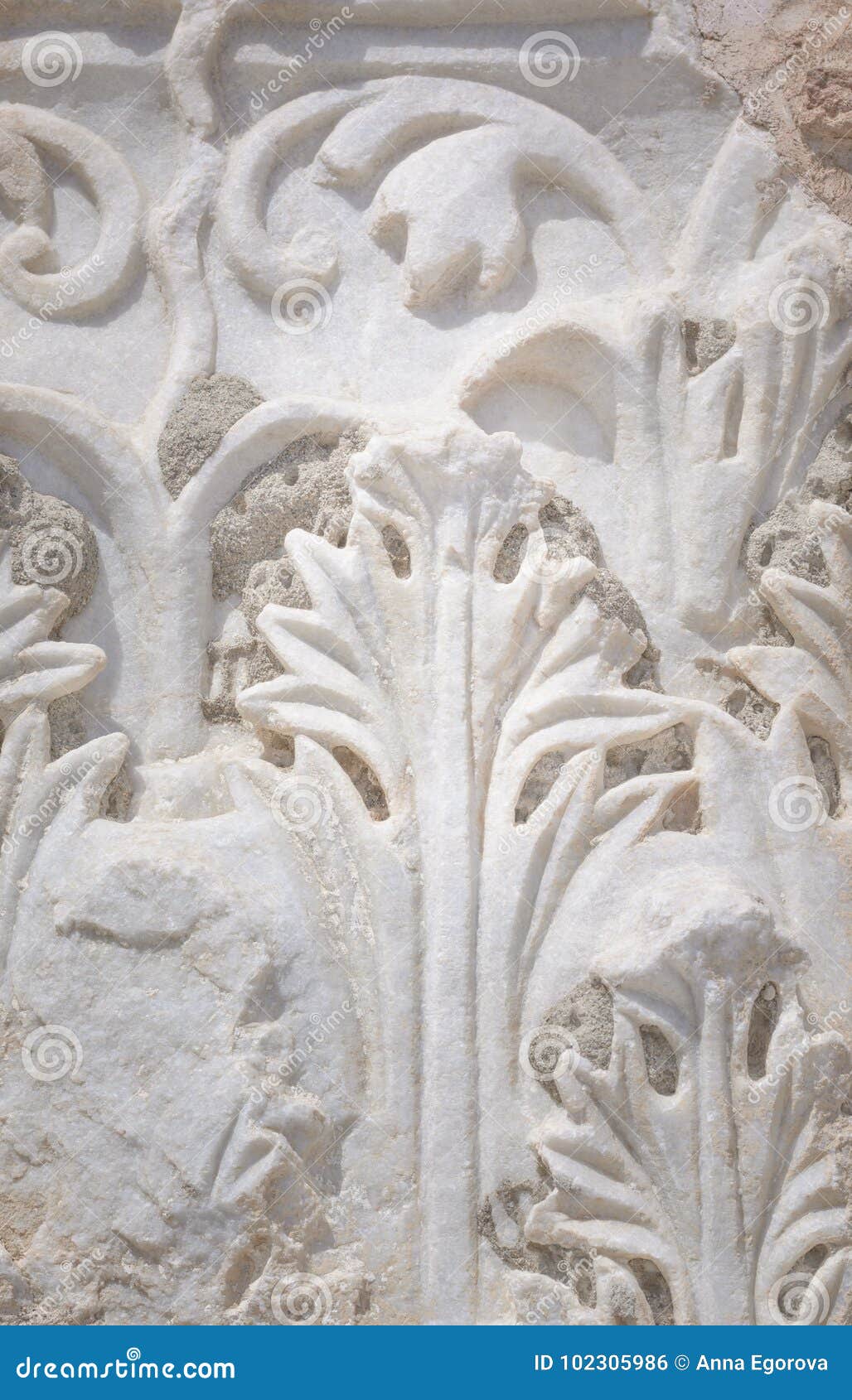 Akant Stock Photos - Free & Royalty-Free Stock Photos from Dreamstime