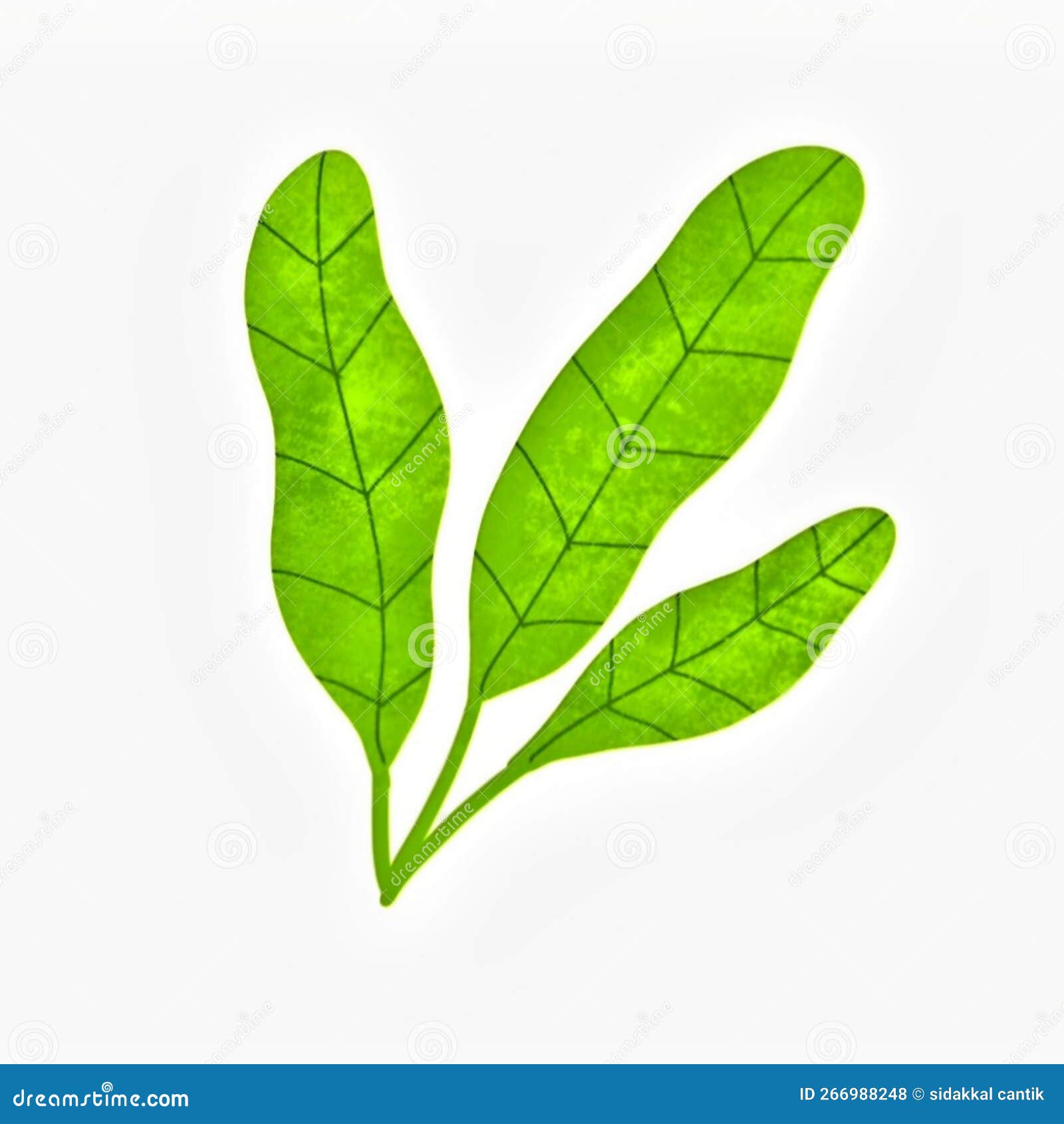 Leaf Animation Design Thrives Stock Illustration - Illustration of ...