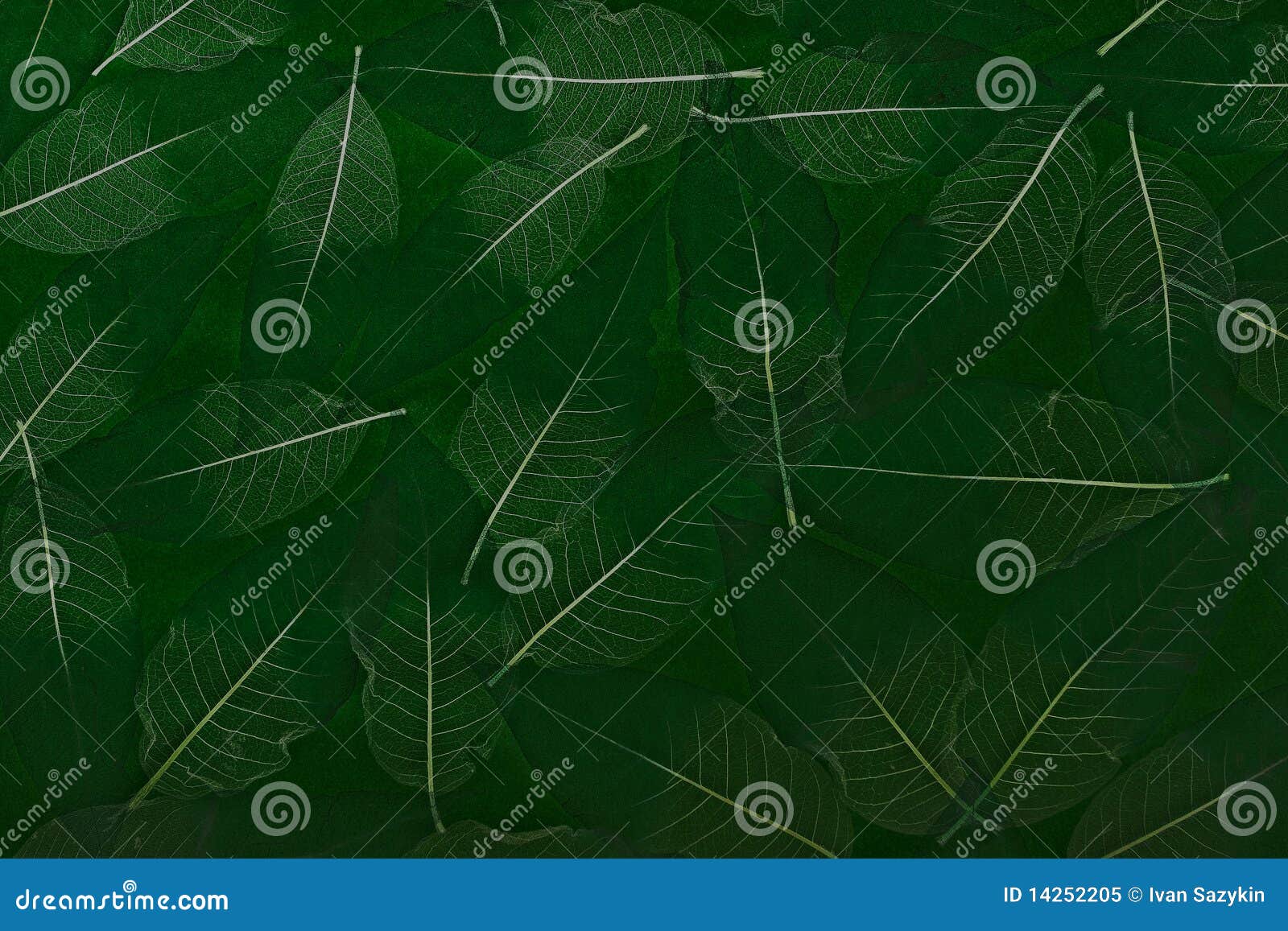 Leaf background stock image. Image of plant, grain, background - 14252205