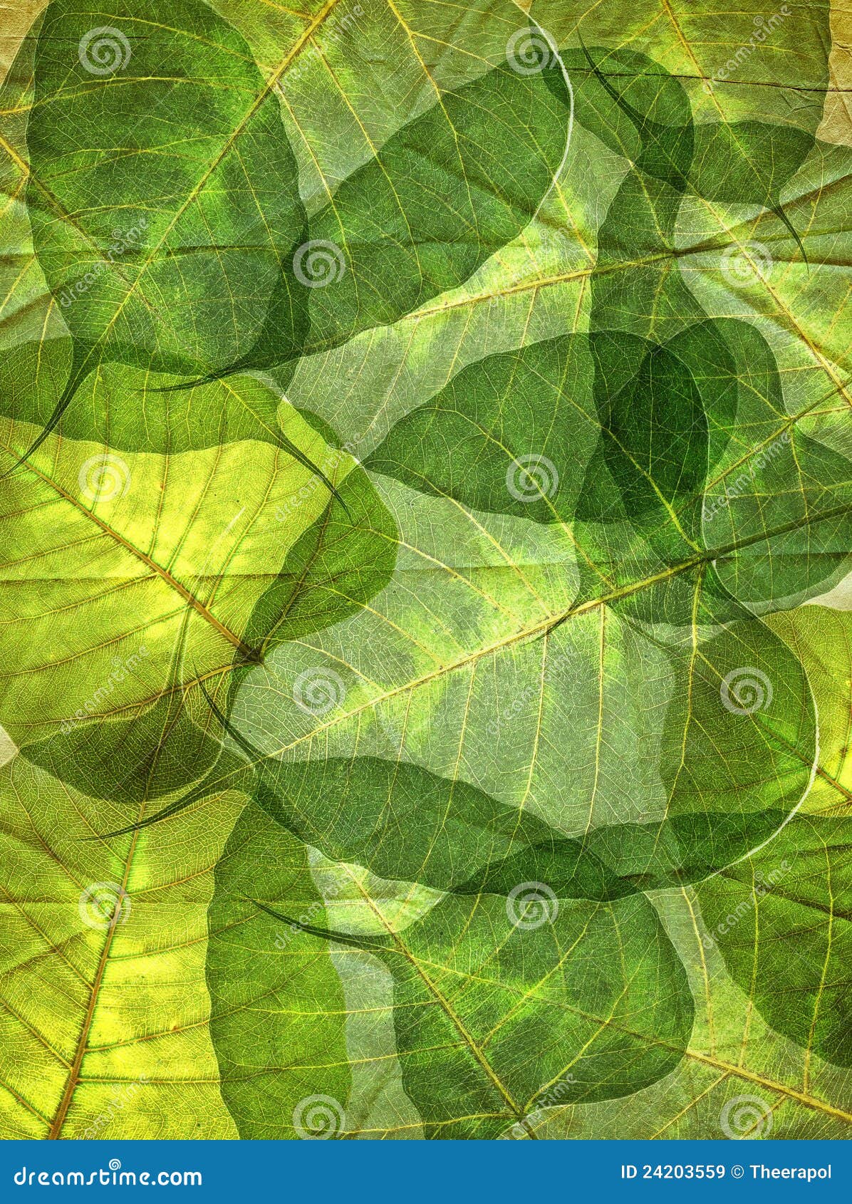 Leaf background stock image. Image of element, design - 24203559