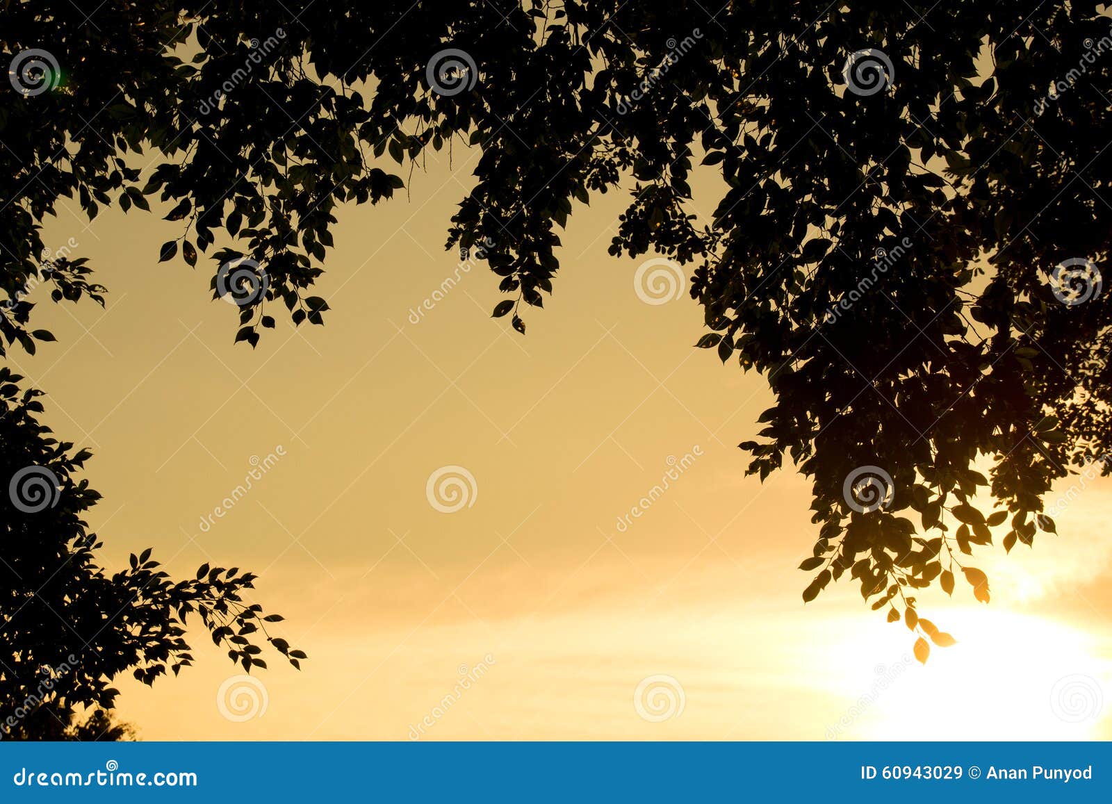 Backlit Boy Silhouette Jumping With Joy Over The Water On A Beach ...
