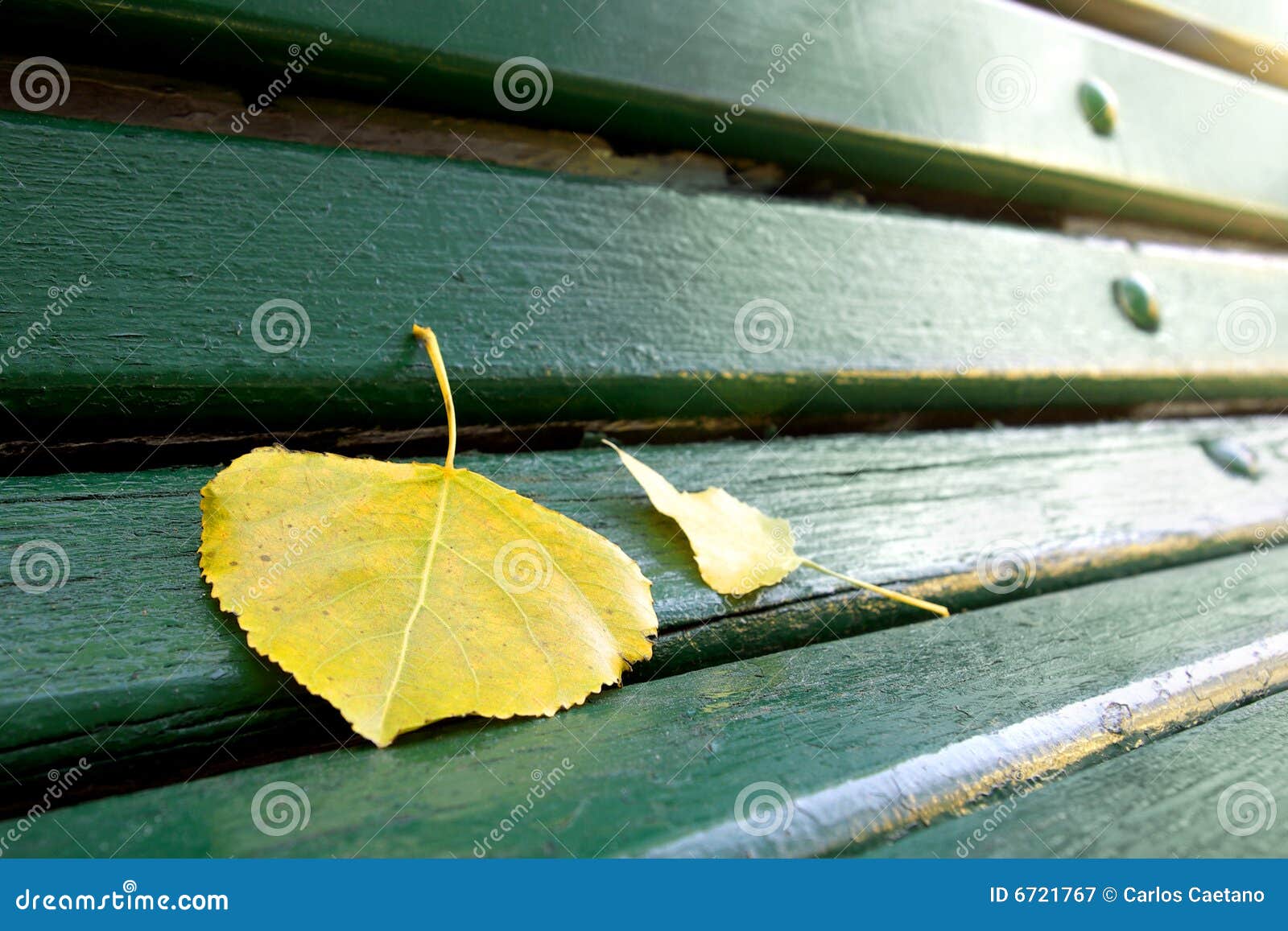 Leaf on Bench stock image. Image of aging, outdoors, change - 6721767