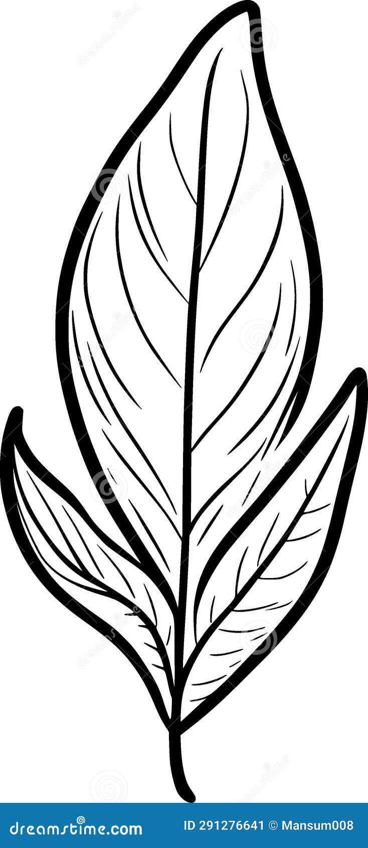 Leaf with a Black and White Cartoon, Drawing Stock Illustration ...