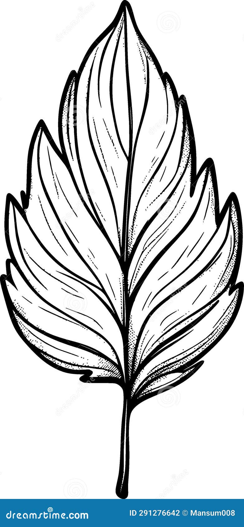 Leaf with a Black and White Cartoon, Drawing Stock Illustration ...