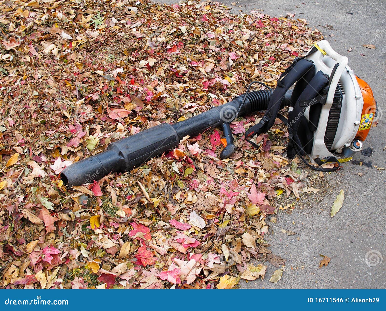 Leaf Blower stock photo. Image of gardeners, blower, landscaper - 16711546