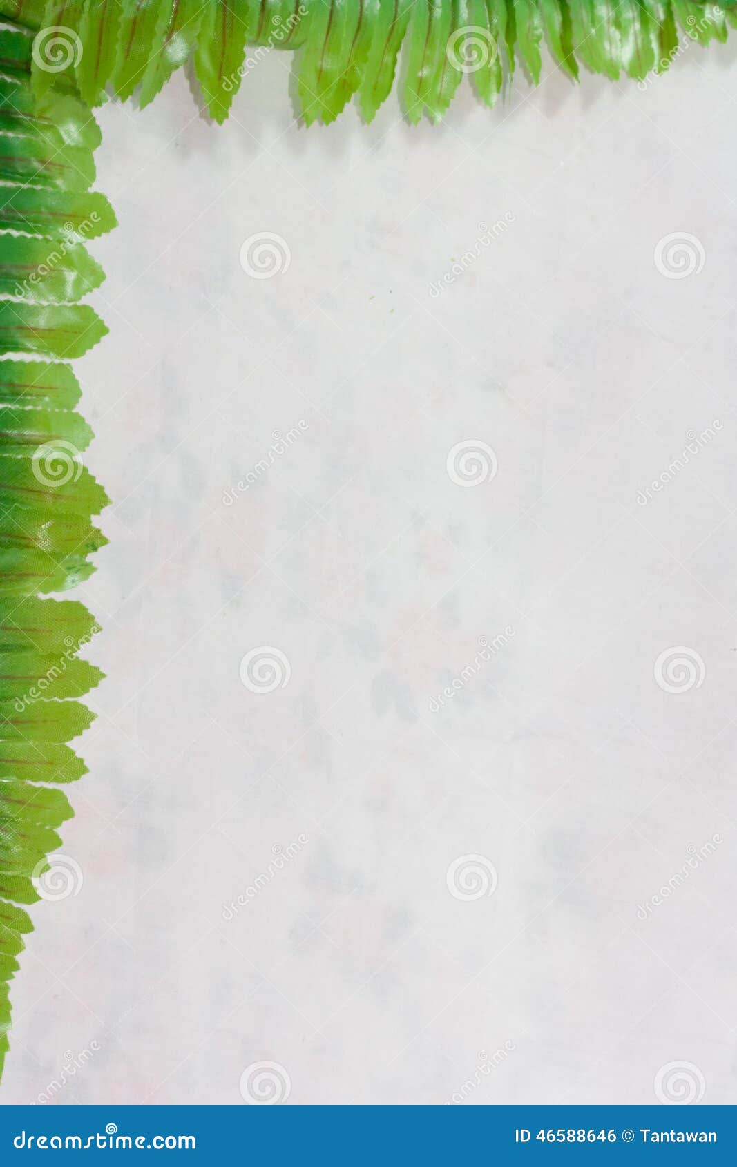 Leaf border background stock photo. Image of beauty, leaf - 46588646