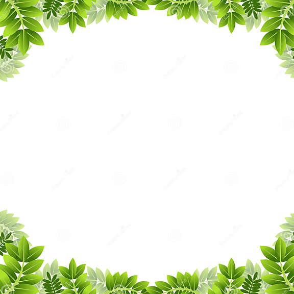 Leaf Border stock vector. Illustration of foliage, white - 48907219