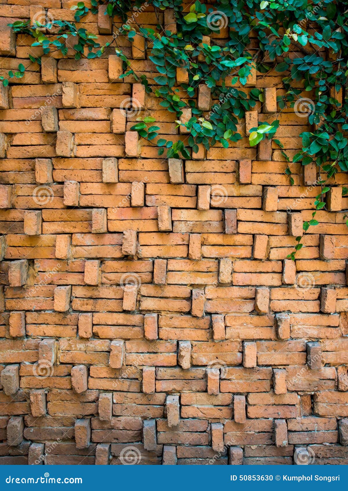 Leaf and brick backgound stock photo. Image of leaf, building - 50853630