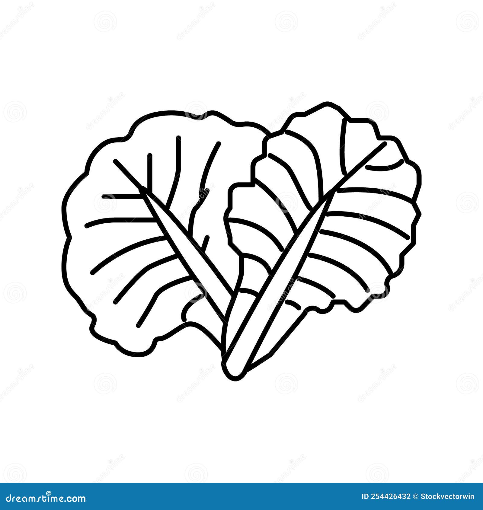 Leaf Cabbage Line Icon Vector Illustration Stock Vector - Illustration ...