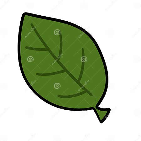 Leaf Cartoon on White Background Stock Illustration - Illustration of ...