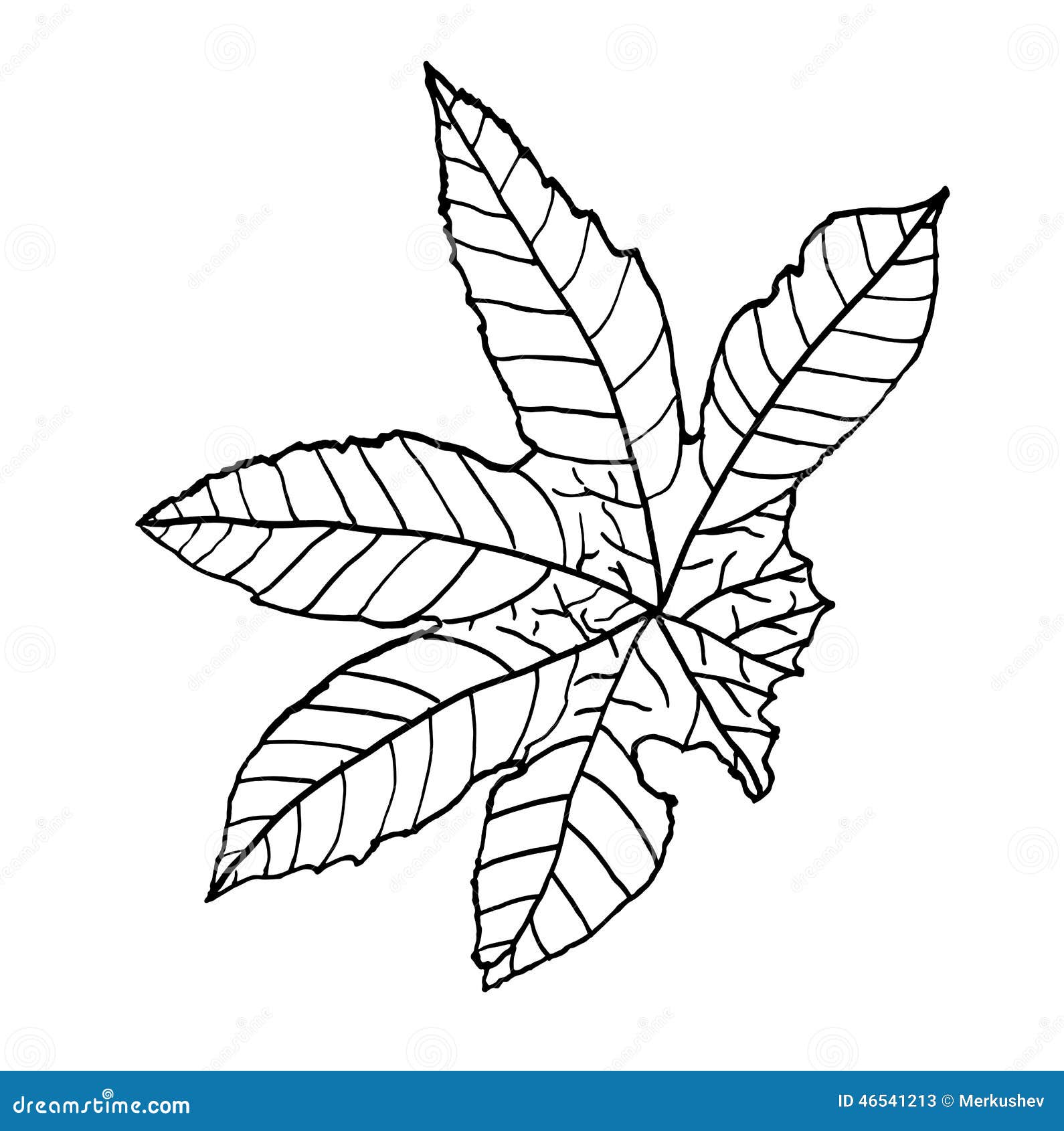 Leaf of Castor, Vector Illustration Stock Vector - Illustration of ...