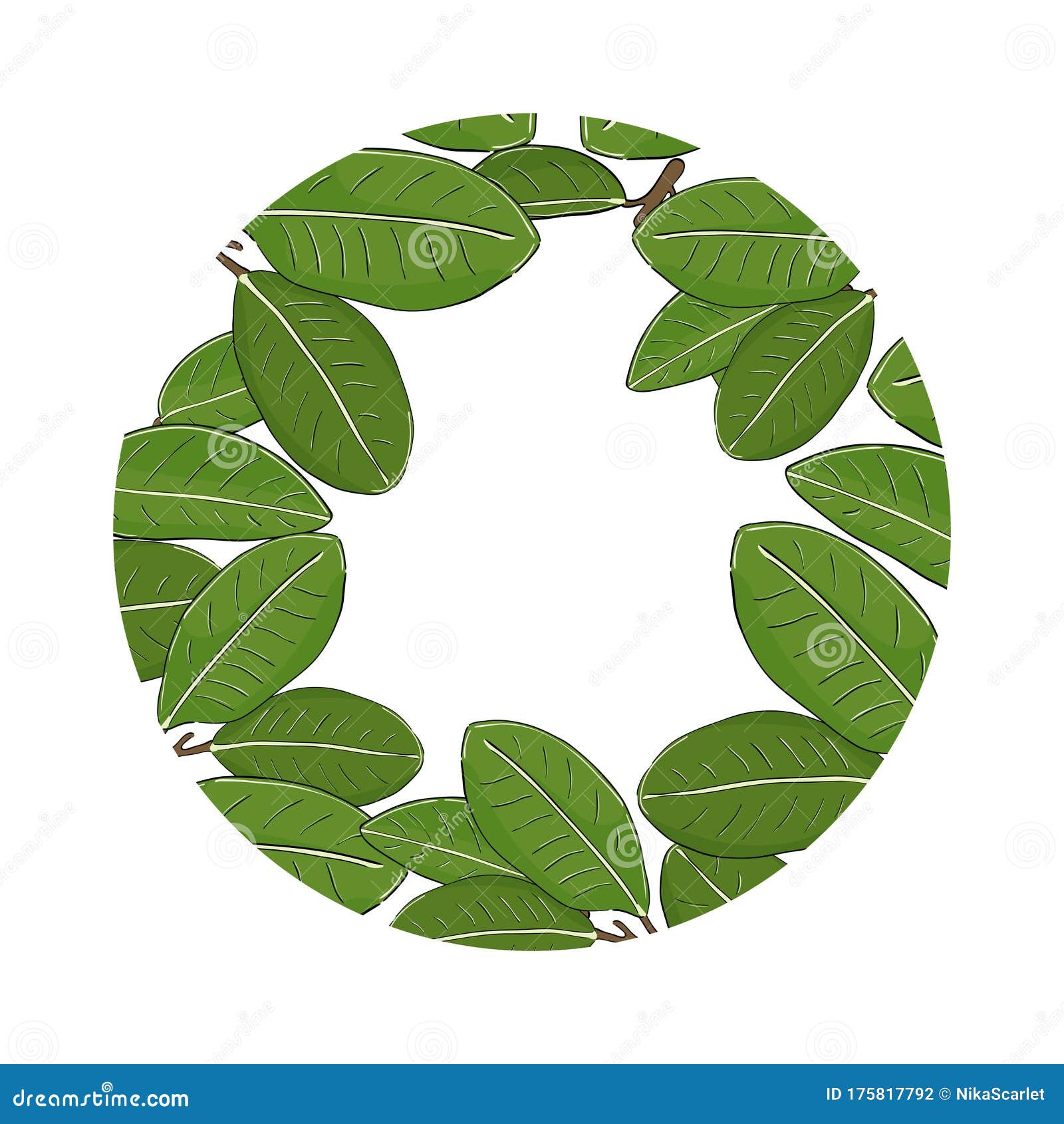 Leaf circle frame stock vector. Illustration of leaf - 175817792